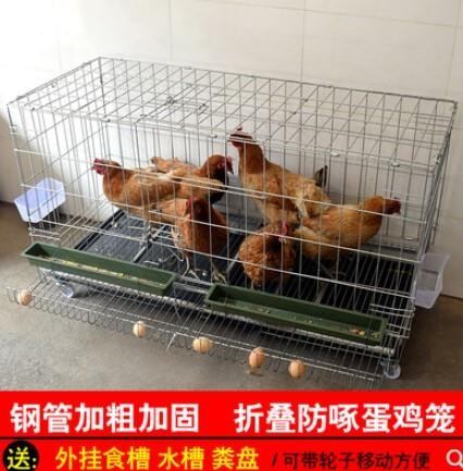Folding Automatic Rolling Egg Chicken Cage Chicken Raw Egg Chicken Cage ...