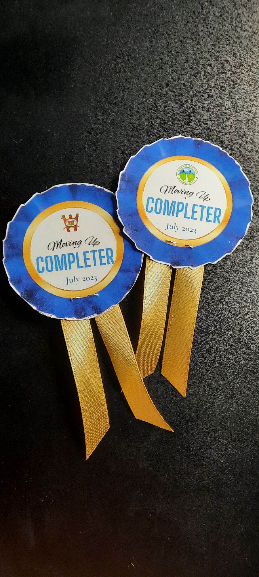 Moving Up Ribbon 12 pcs | Lazada PH