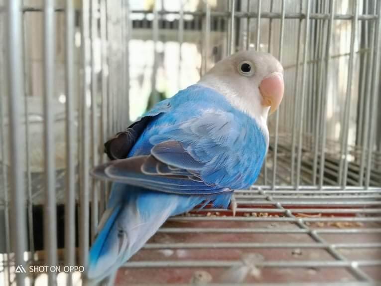 Shop online with JX Shop 1610169214 now! Visit JX Shop 1610169214 on ...