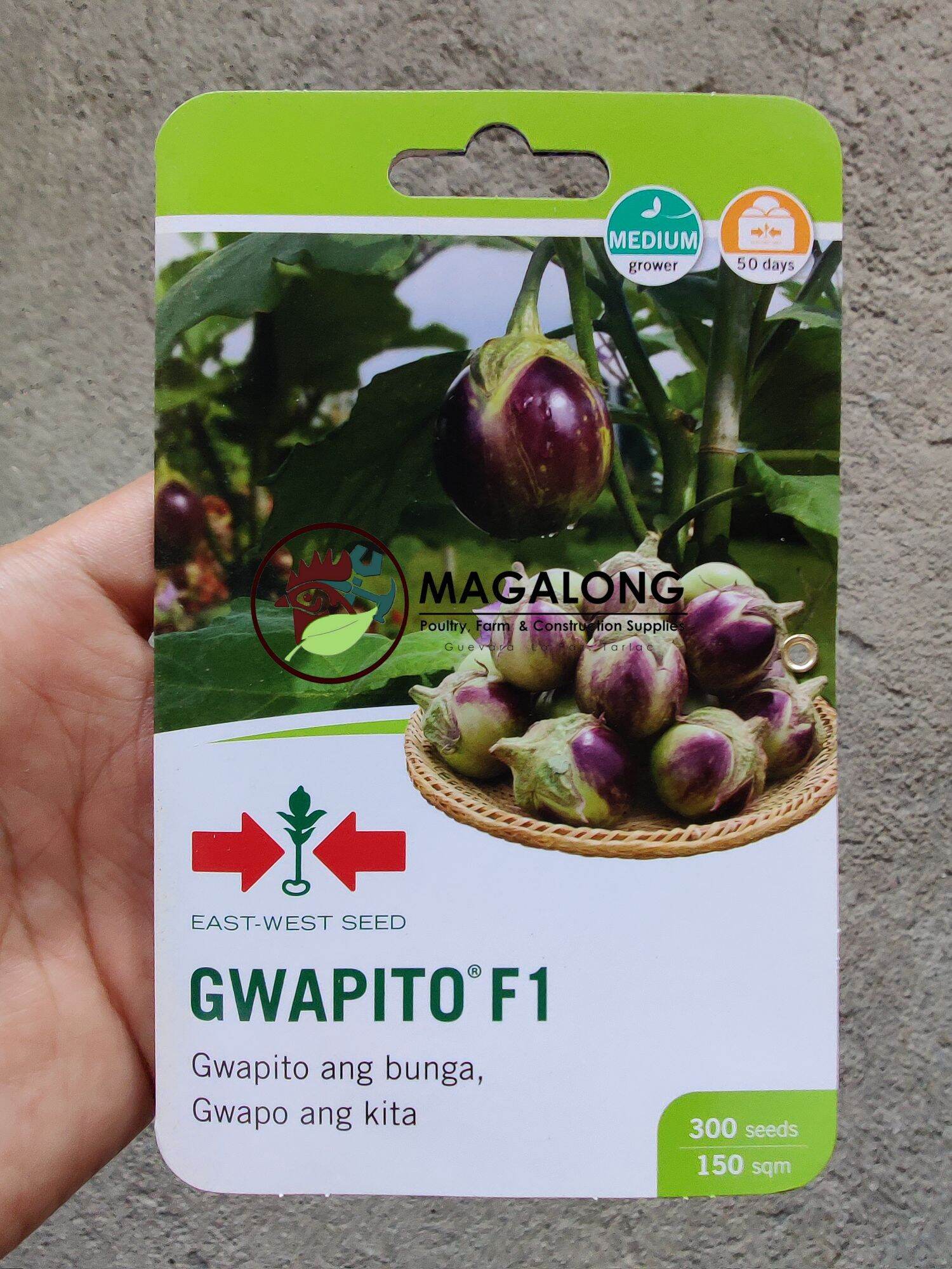 EAST-WEST SEEDS - ROUND EGGPLANT SEEDS - GWAPITO F1 HYBRID 300 Seeds | Lazada PH