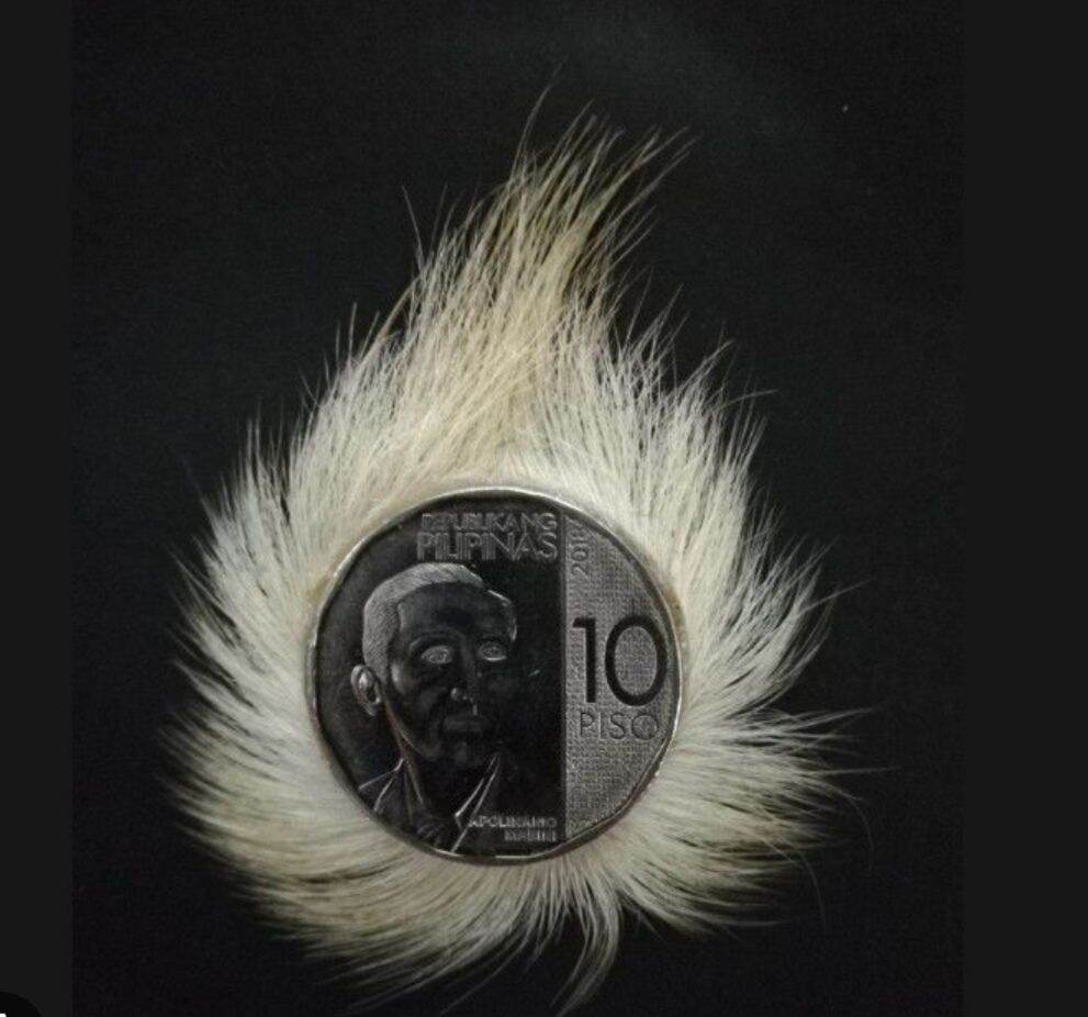 Pilikmata ng Kambing o Goat eyelashes an original pilipino made local ...