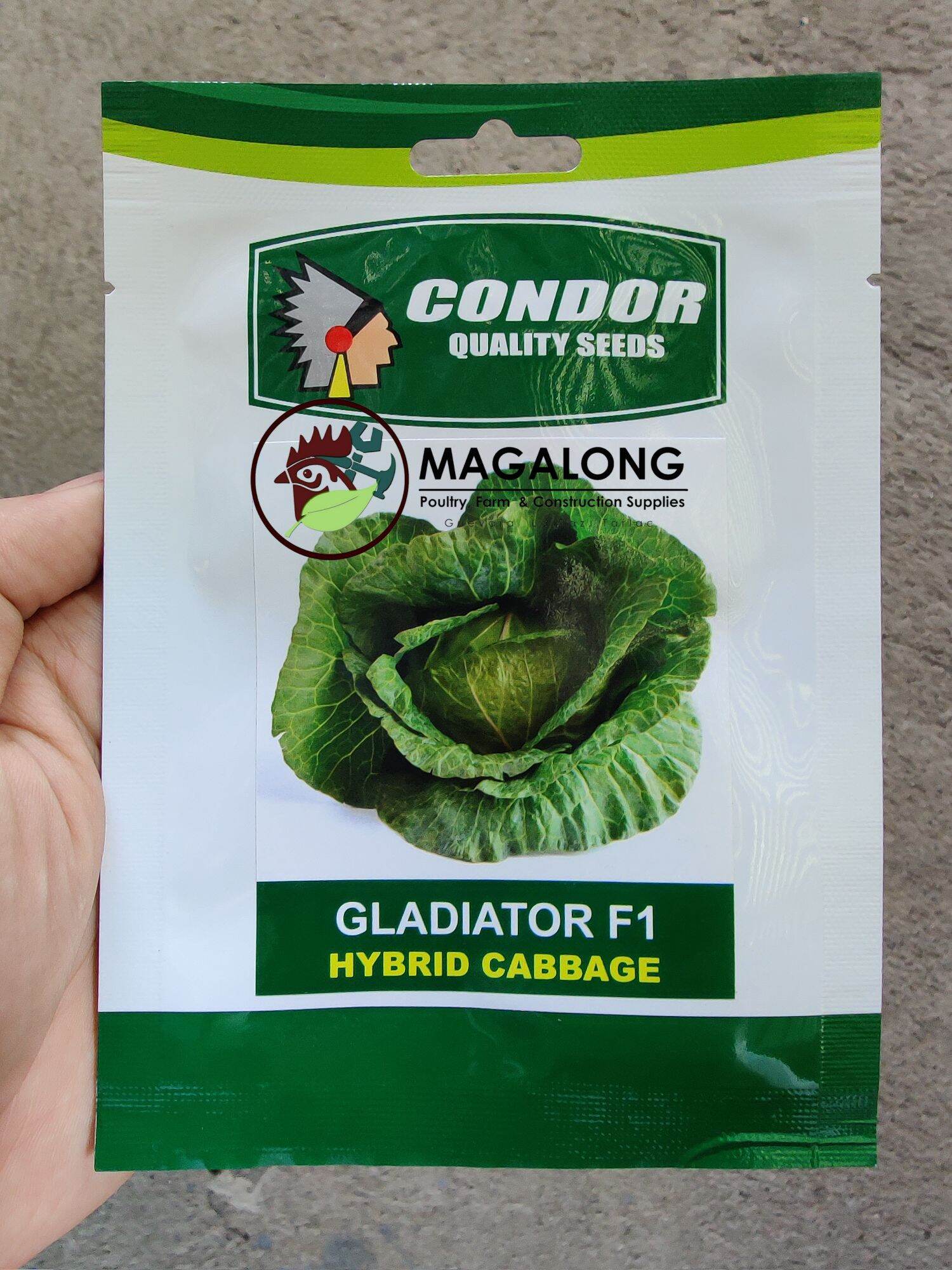 CONDOR SEEDS - CABBAGE SEEDS - GLADIATOR F1 HYBRID 1 Gram | Lazada PH