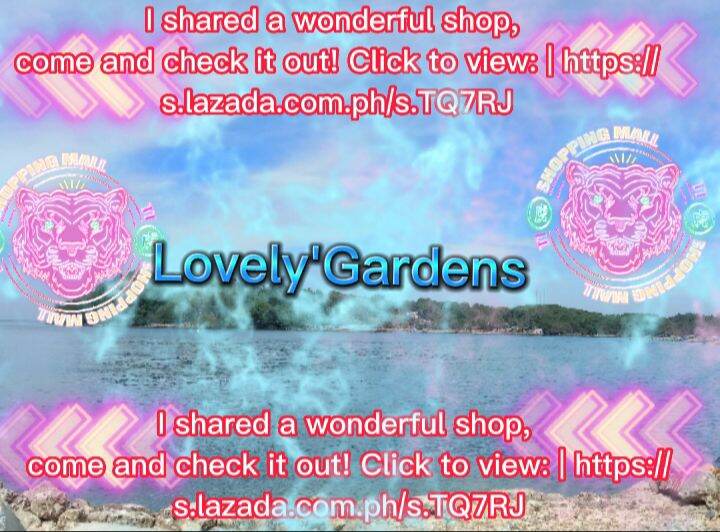 Shop online with Lovely'Gardens now! Visit Lovely'Gardens on Lazada.