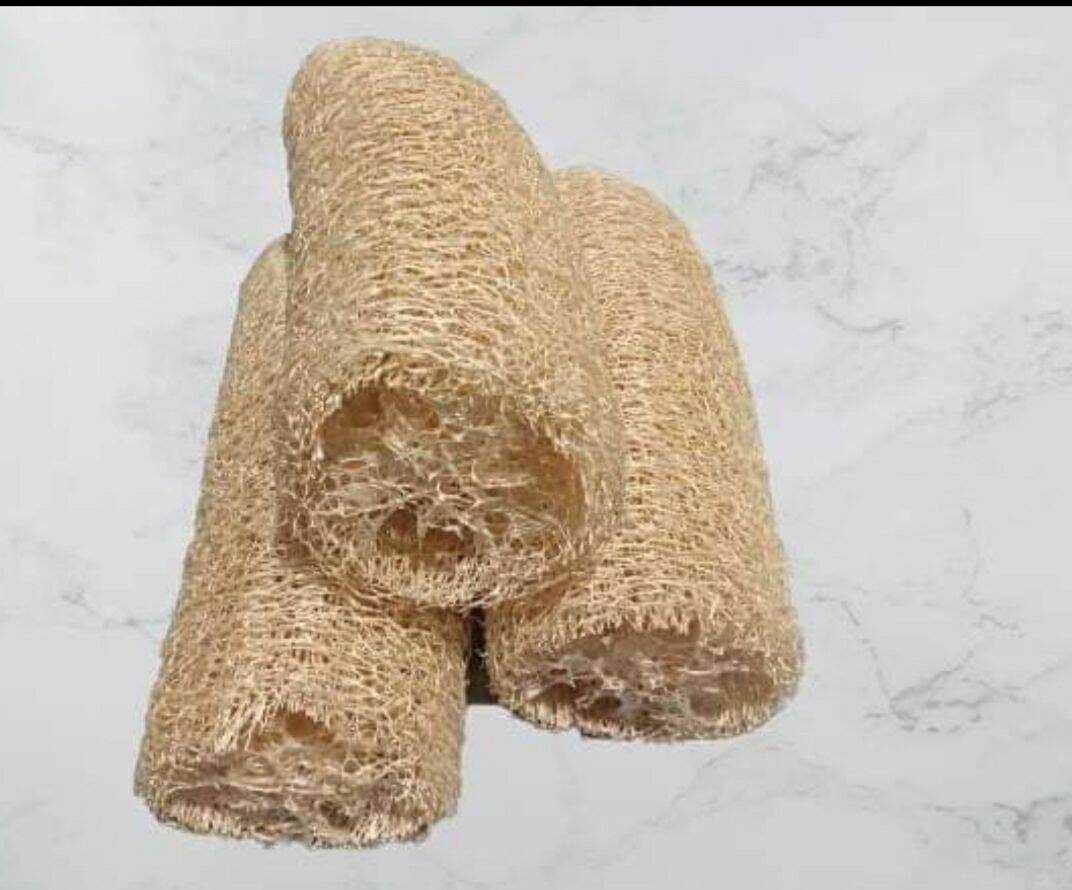Loofah / Panghilod Ng Katawan Set Of 3pcs | Lazada PH