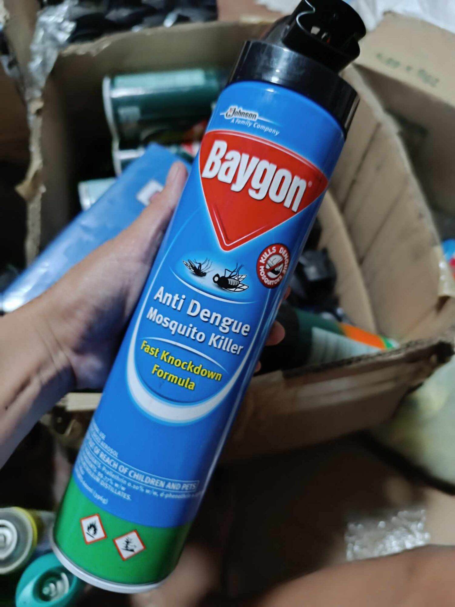 Baygon Insect KiLLer Spray 600mL | Lazada PH