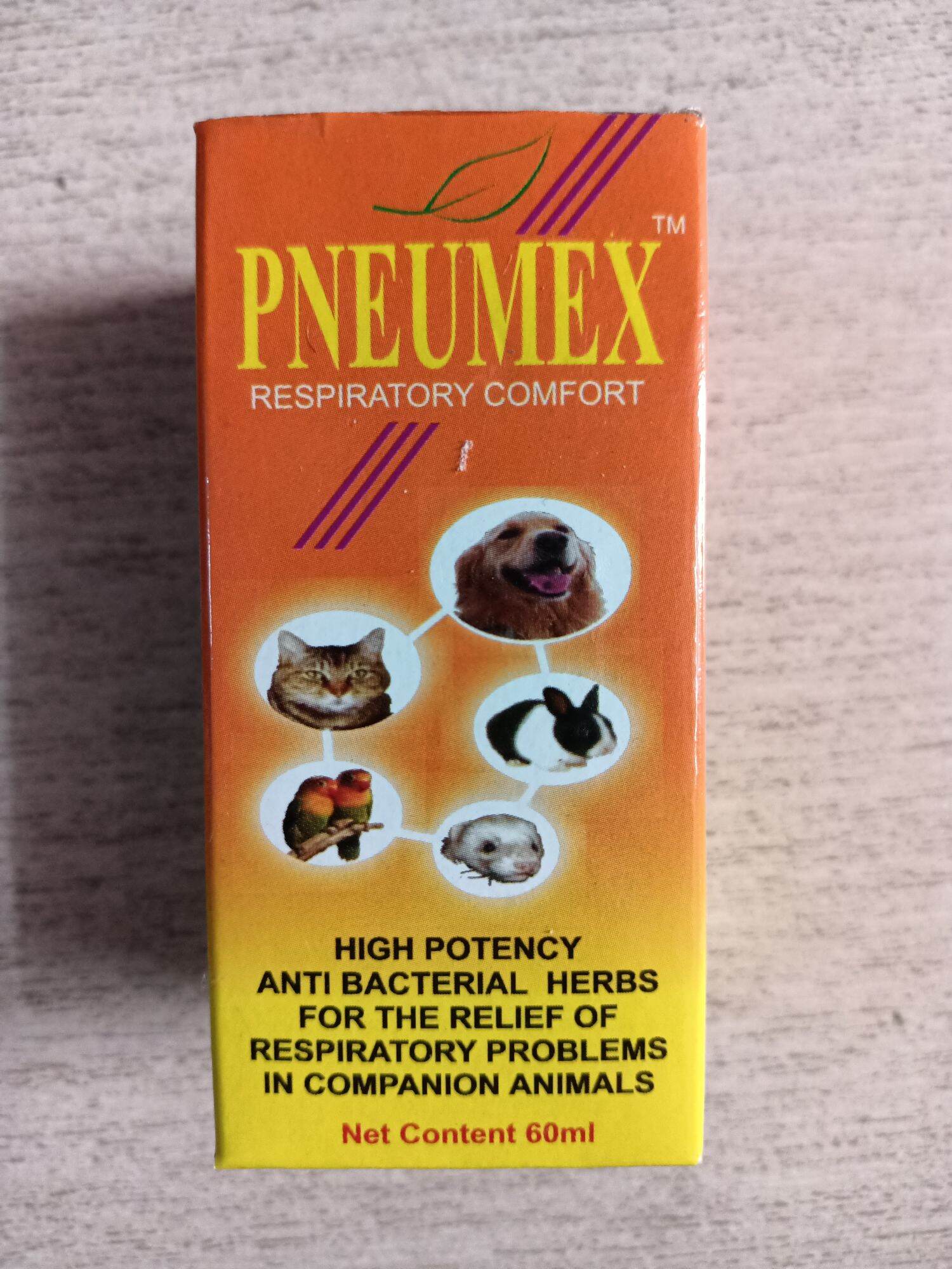 PNEUMEX respiratory comfort 60ml | Lazada PH