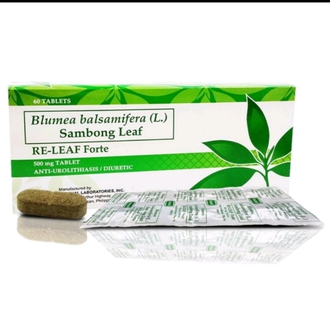 Re leaf Forte (Sambong) 500 mg tablet by 30's and 60's | Lazada PH