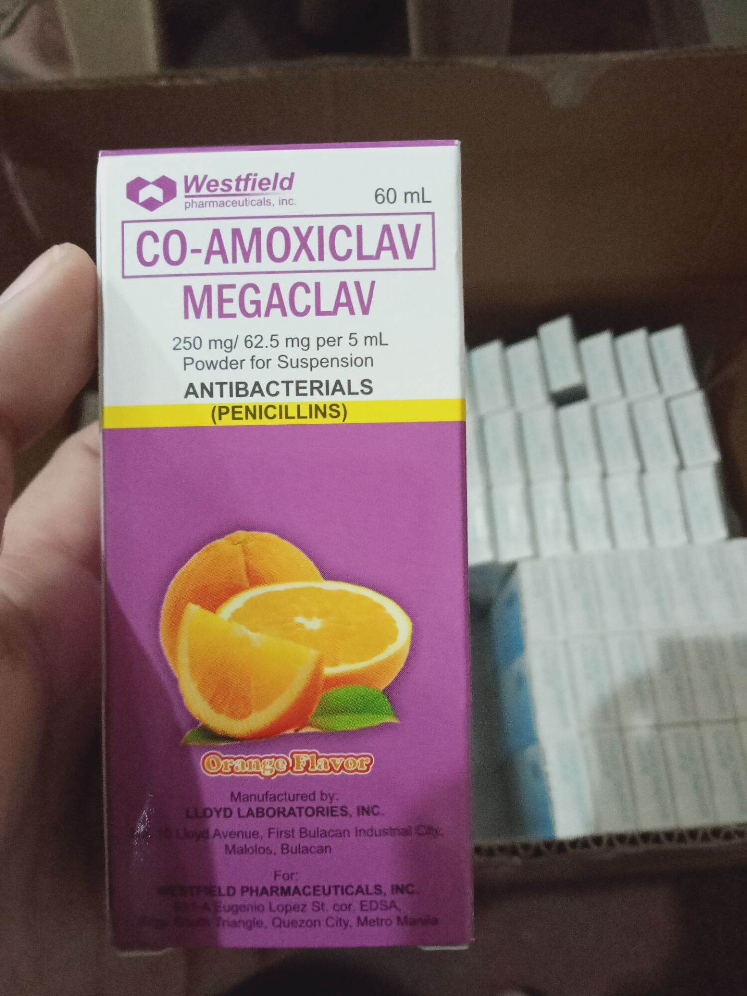 Megaclav/clovimed no choosing.susp..312.5/5mL.... | Lazada PH