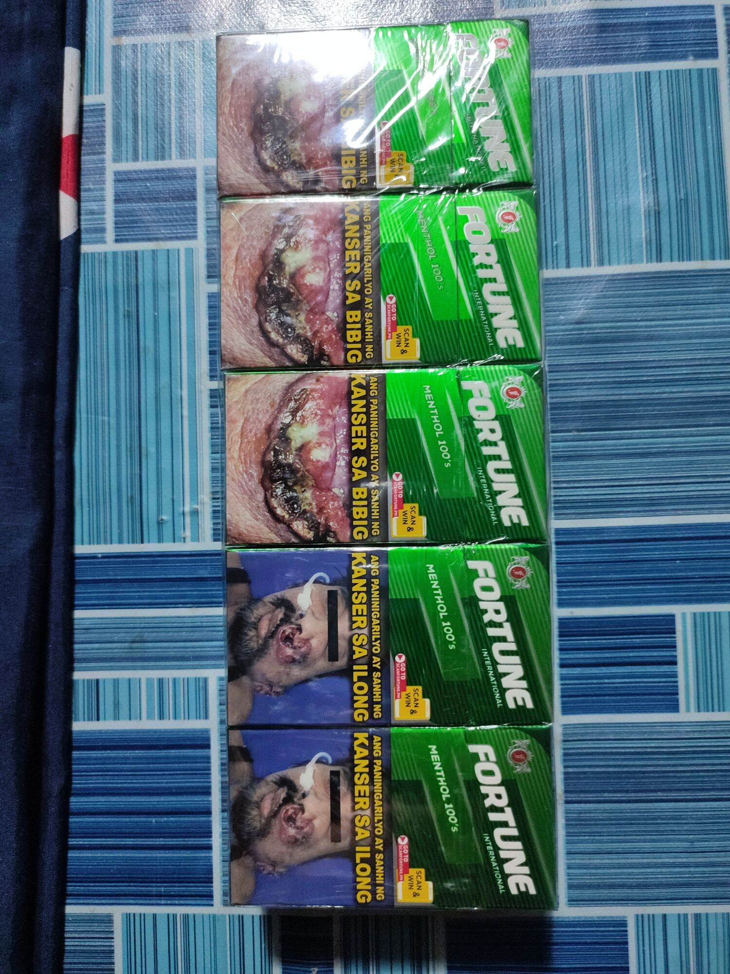 fortune green | Lazada PH