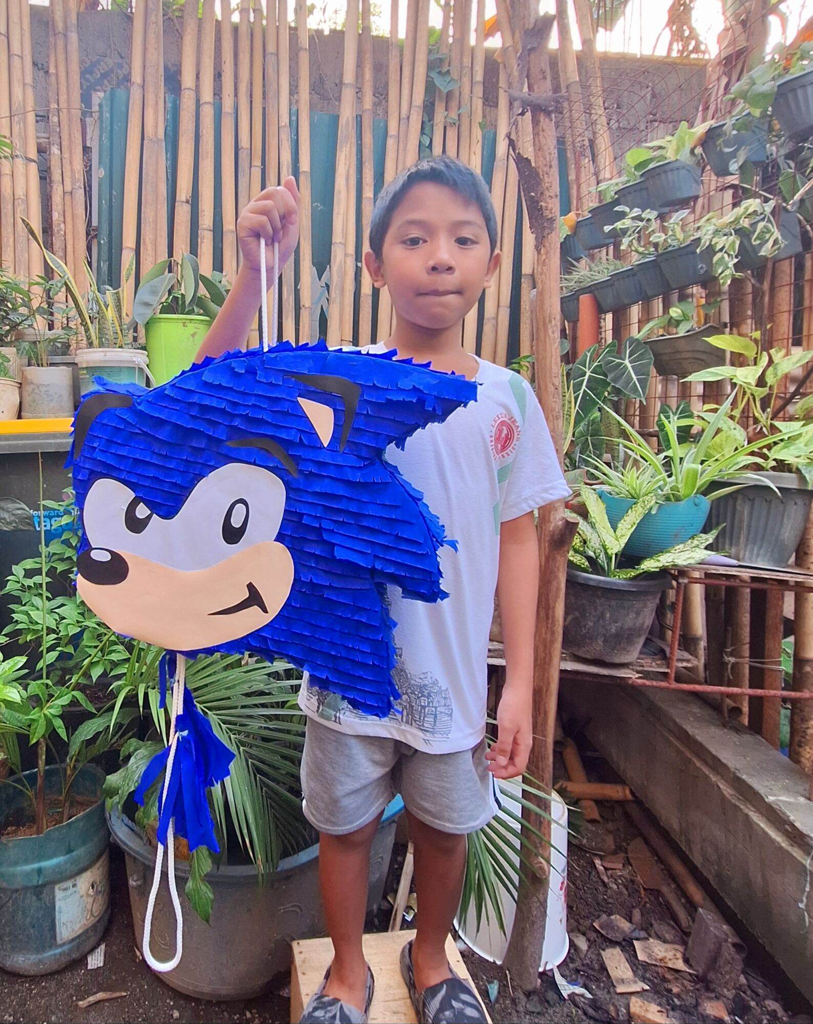 14 inches super sonic Pinata Head | Lazada PH