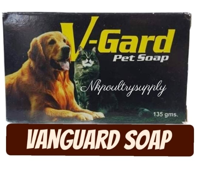 VANGUARD SOAP 135GRAMS | Lazada PH