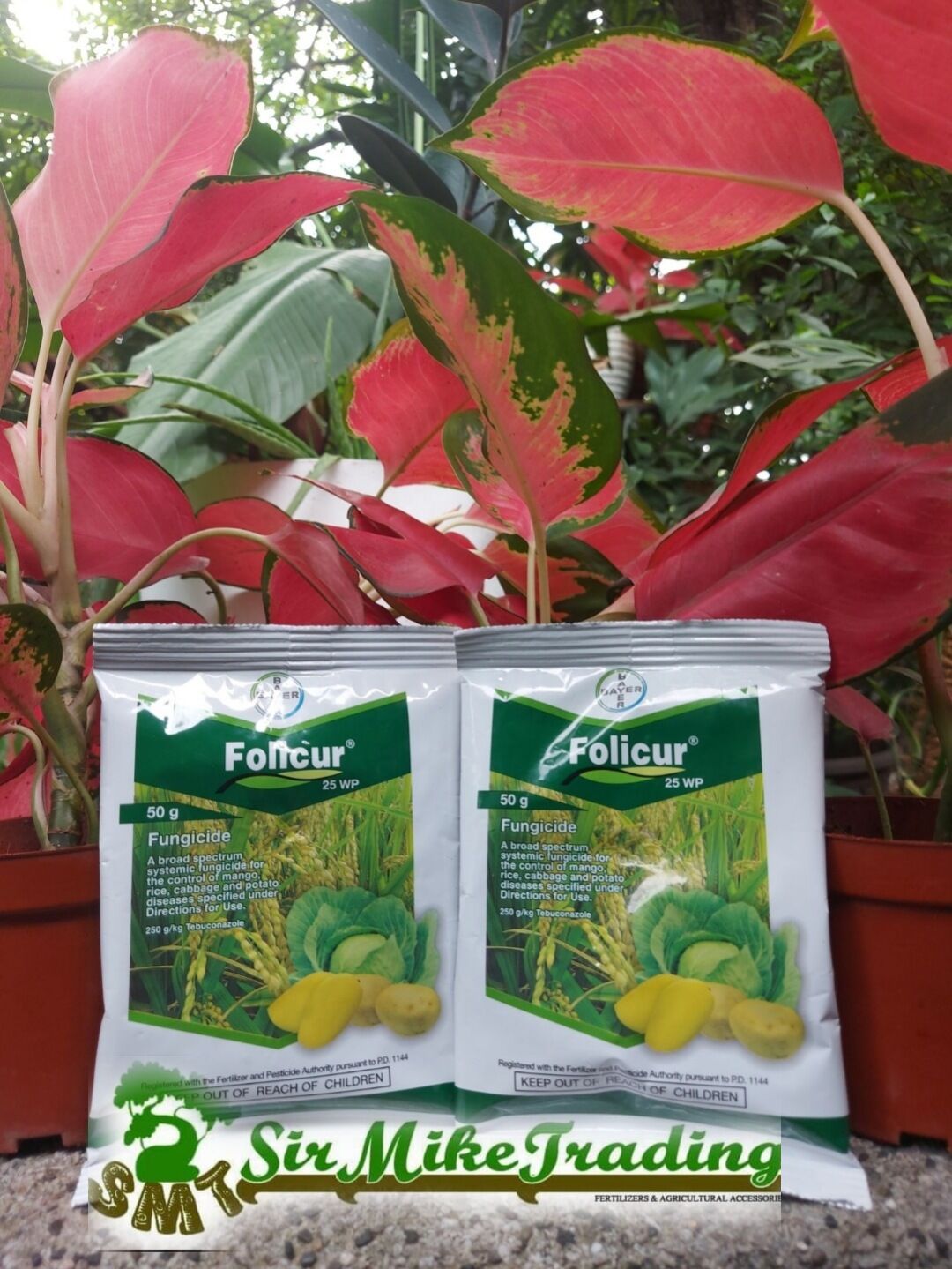 Folicur 25 WP 50 grams Fungicide | Lazada PH