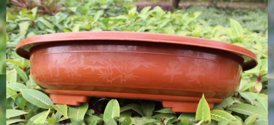 (10pcs, 5pcs, 1pc) PLASTIC BONSAI POT (RECTANGLE)(OVAL) | Lazada PH