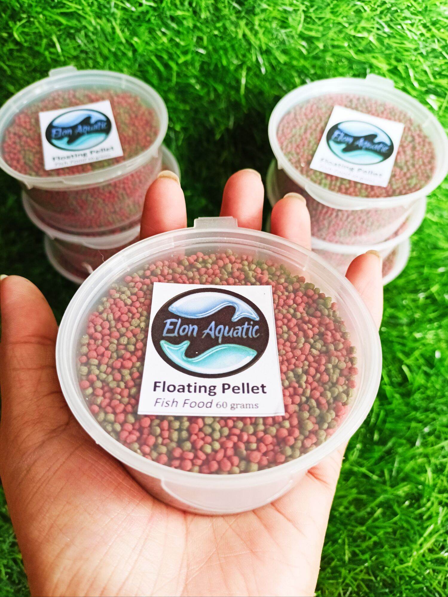 Floating Pellet Fish food 60 grams Tub container | Lazada PH