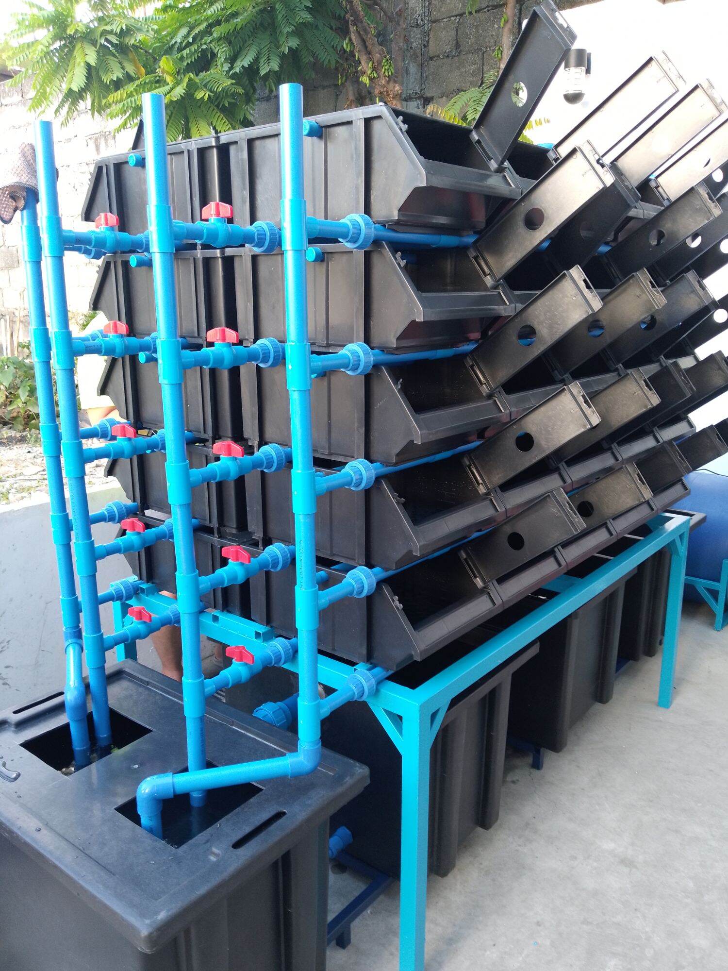 Crab Cage/Fattening Box | Lazada PH