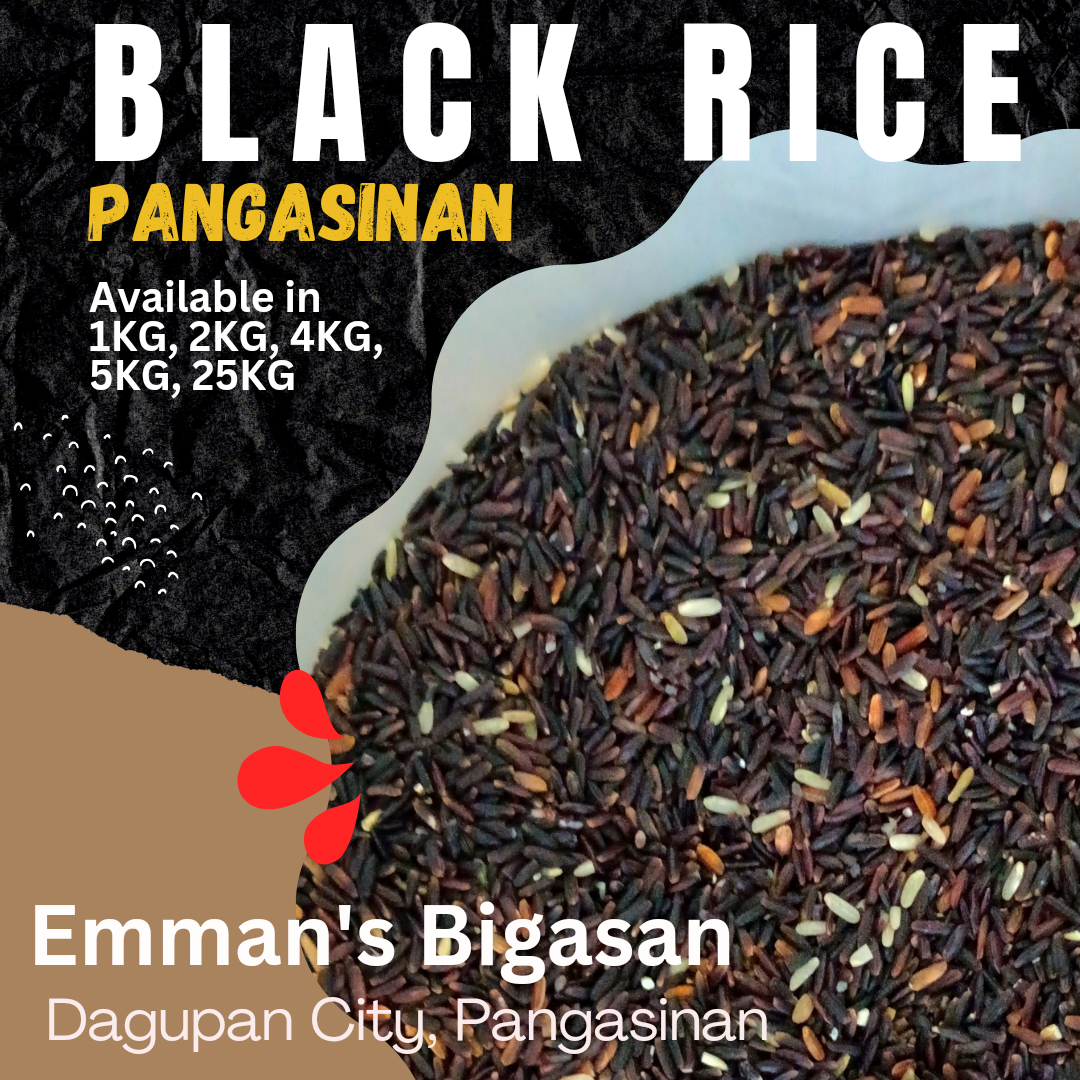 5KG Pack Black Rice Pangasinan [Emman's Bigasan] | Lazada PH