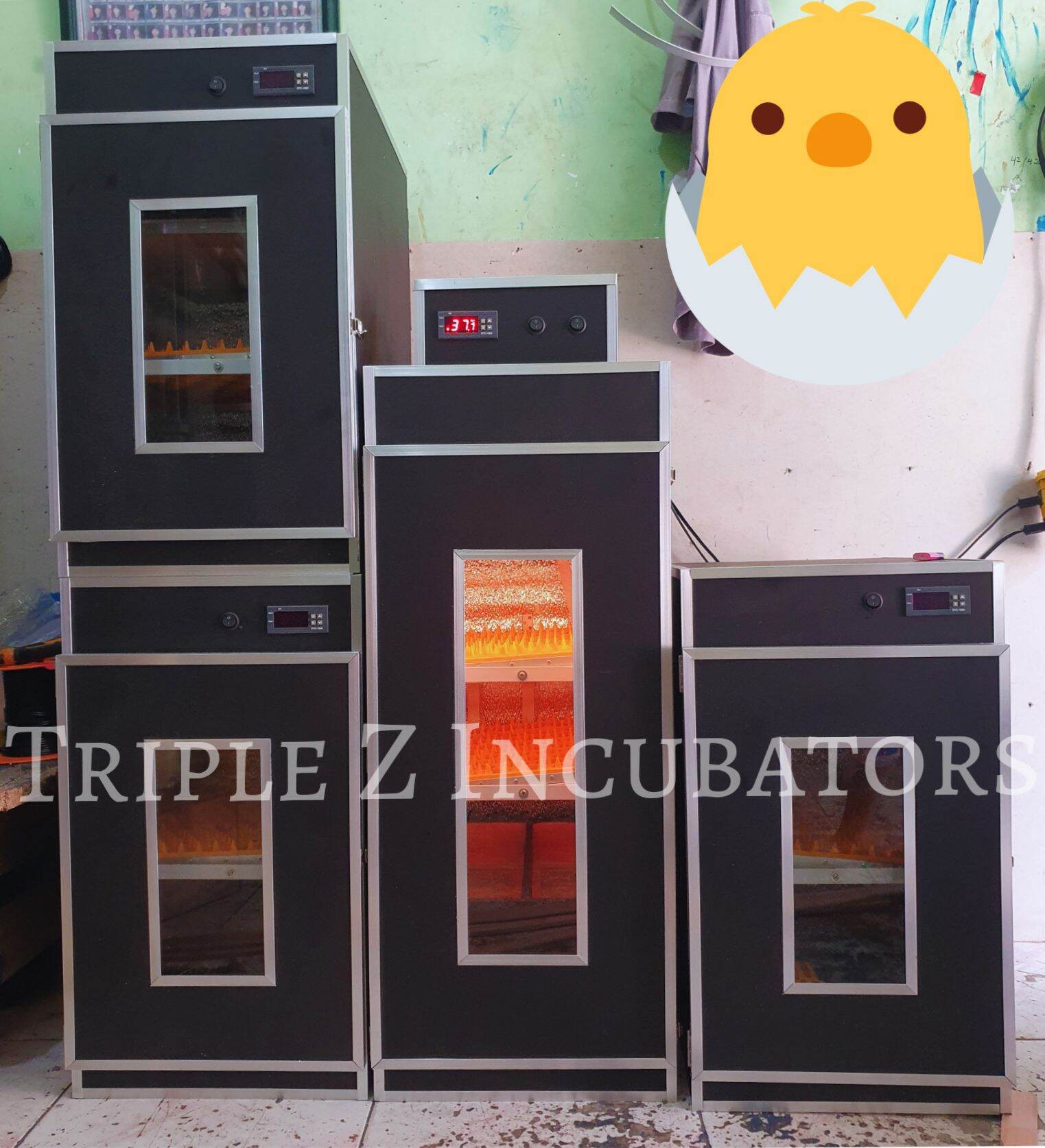 THREE Z EGG INCUBATOR Official Store in the Philippines, Online Shop 01 ...