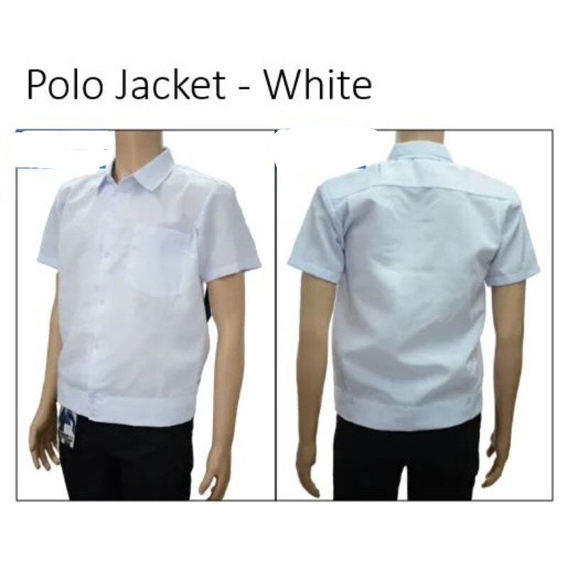 POLO SCHOOL UNIFORM FOR ADULT | Lazada PH