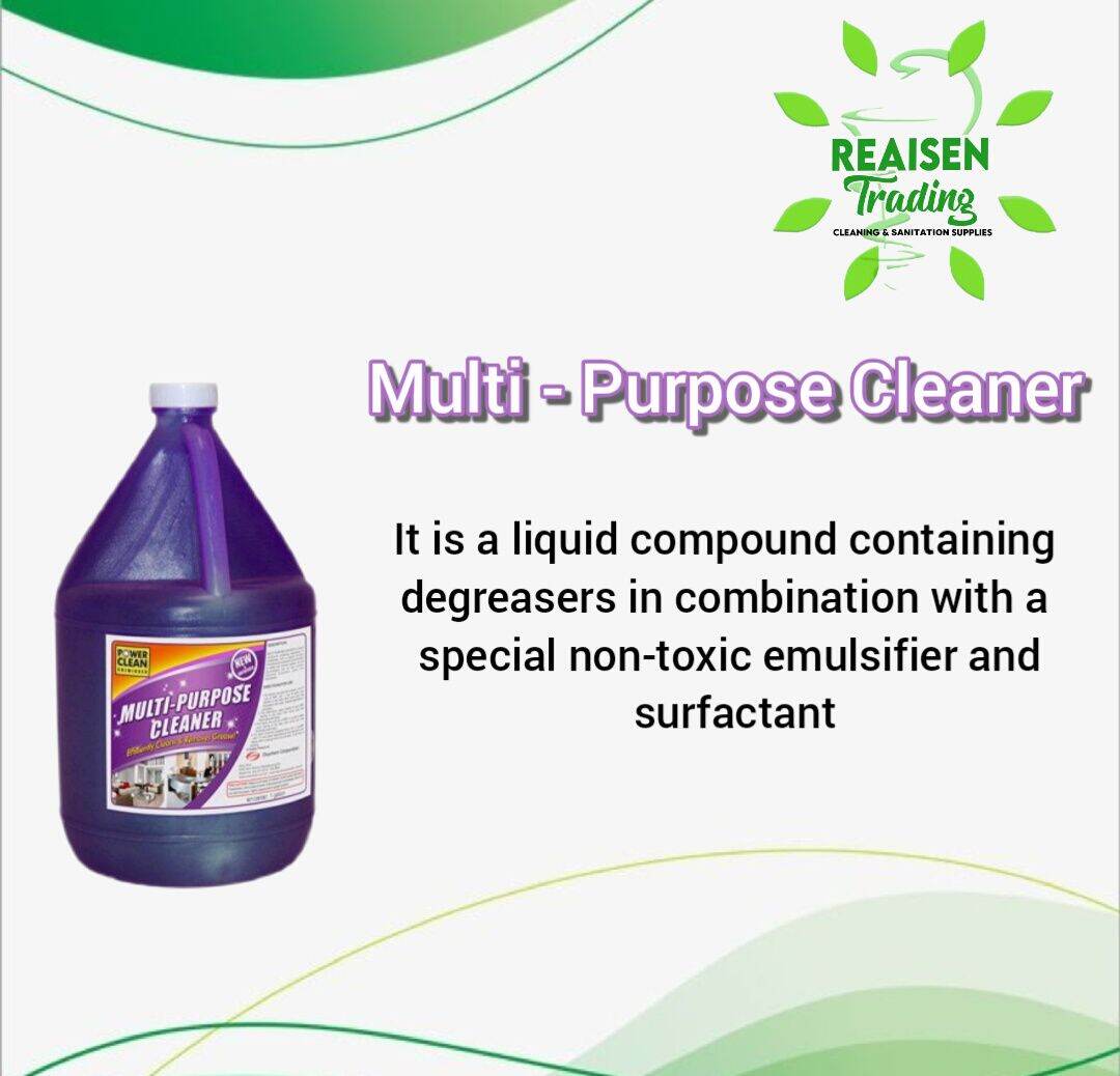 Effective Powerclean Multi Purpose Cleaner 1 Gallon | Lazada PH