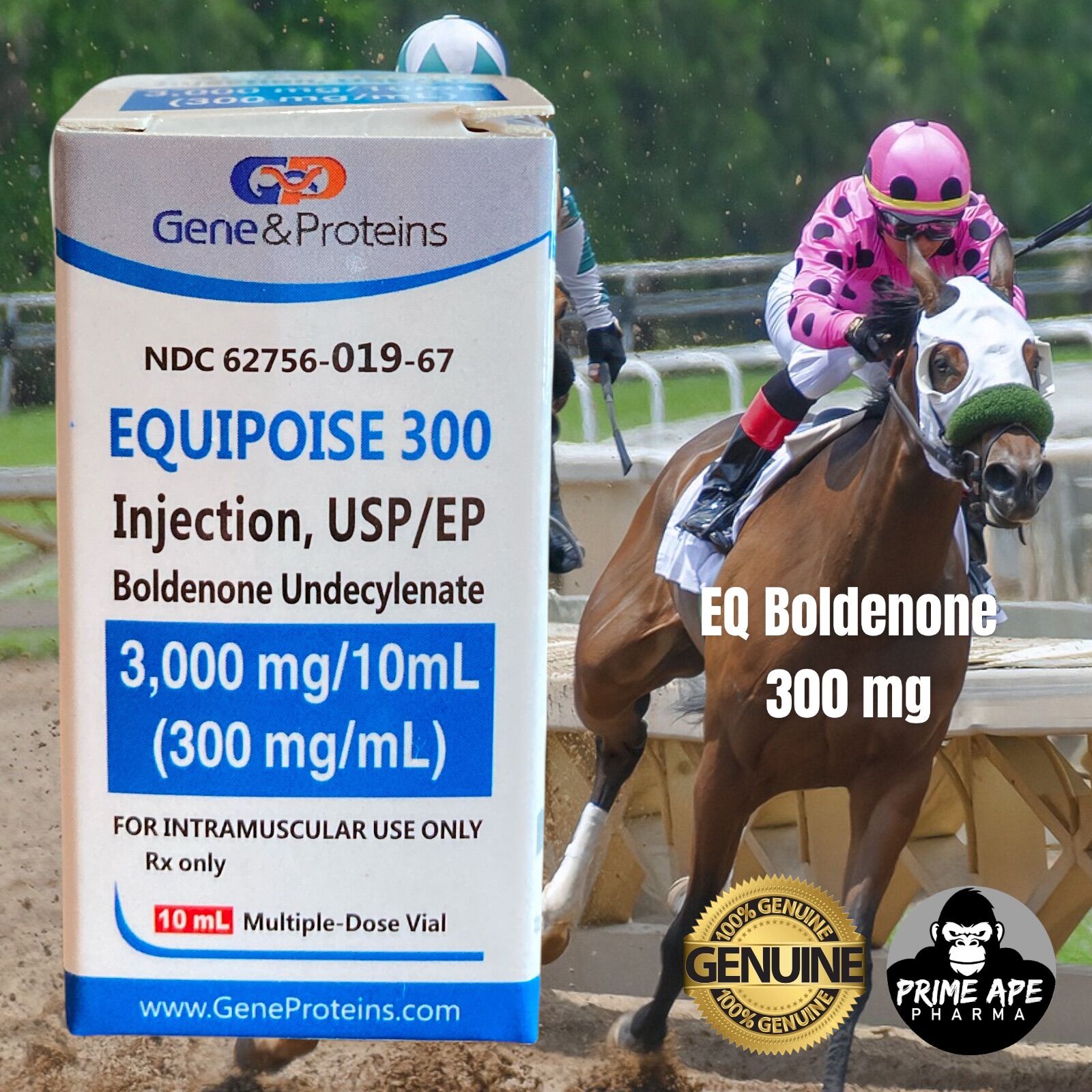 (E.Q.) 3️⃣0️⃣0️⃣ Gene & Protein 🧬 Basel, Switzerland 🇨🇭 | Lazada PH