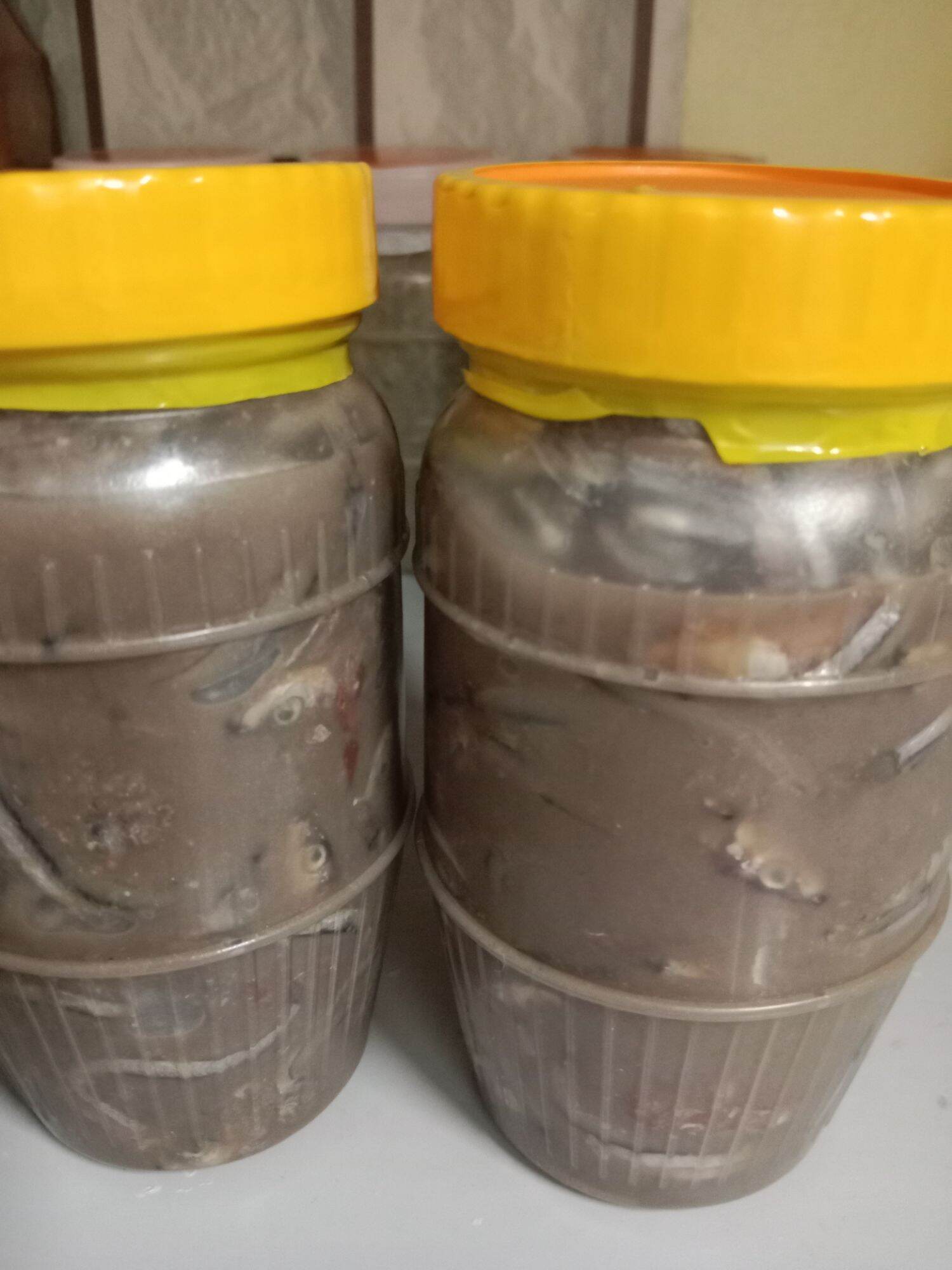 Ginamos from BOHOL 250gms | Lazada PH