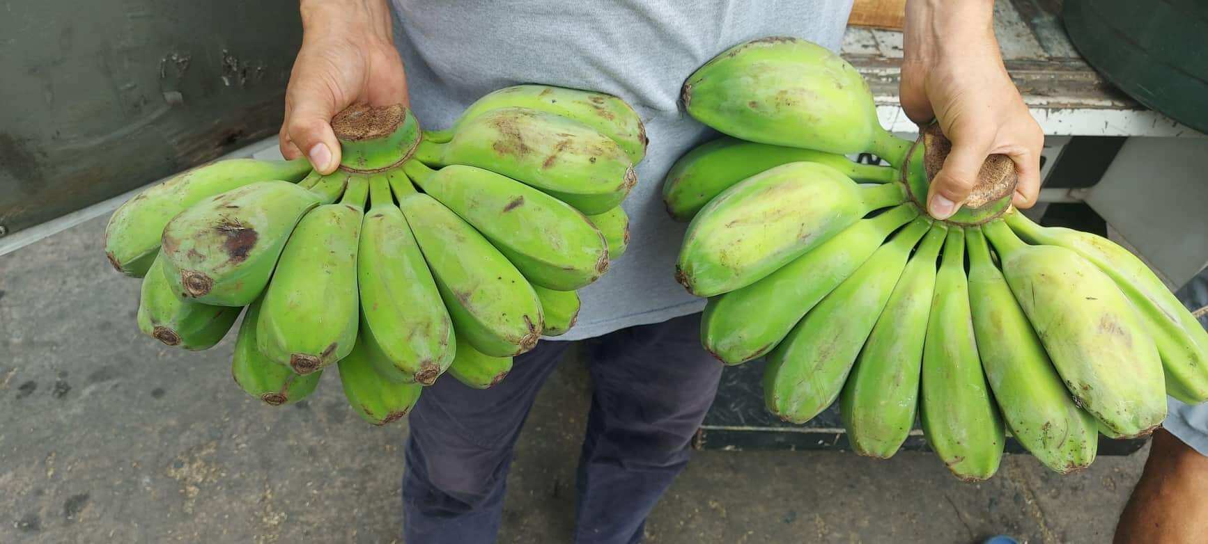 BANANA FRESH SABA 1KG | Lazada PH