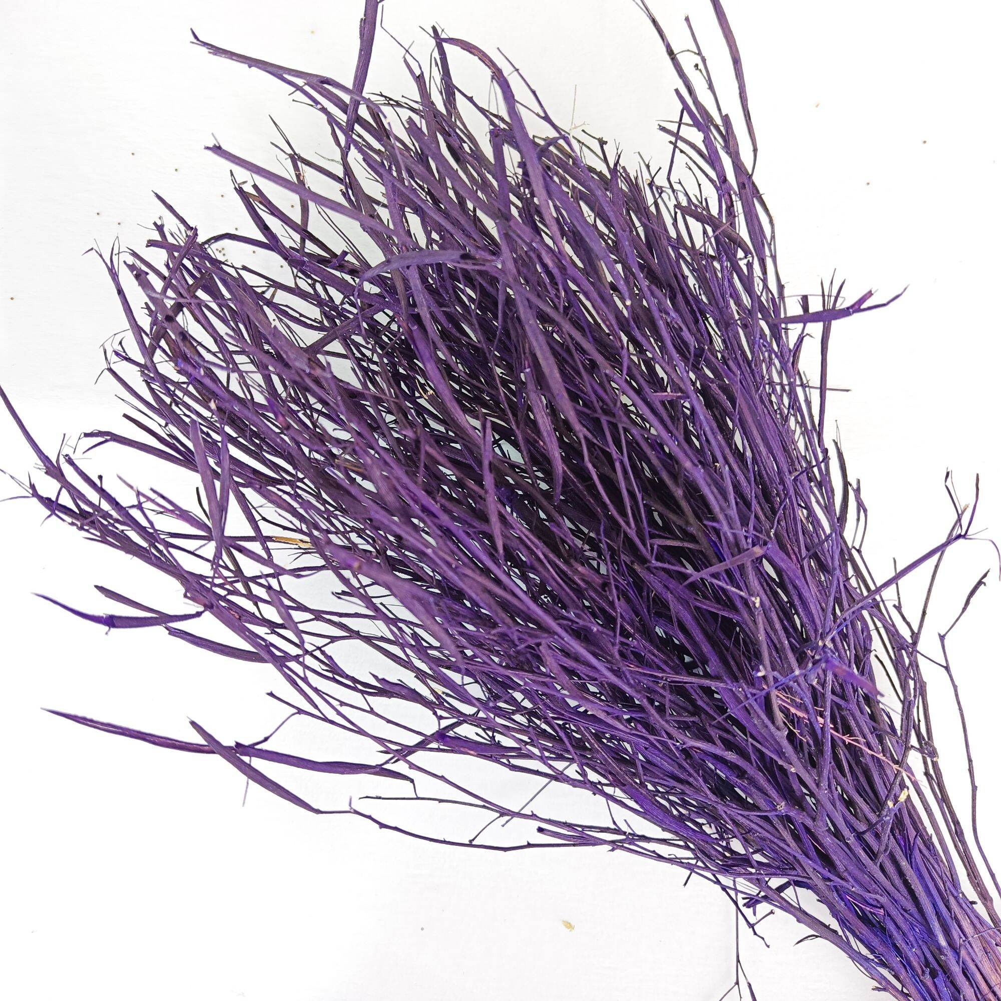 Dried Local Twigs | Real Dried Local Grass | Lazada PH