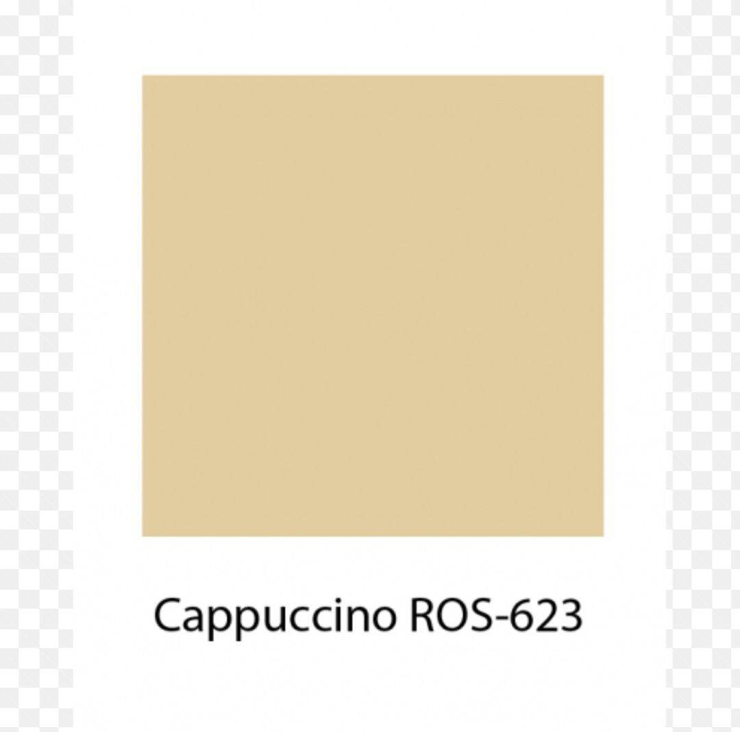 Rain or Shine Elastomeric Waterproofing Paint 1Liter | Lazada PH