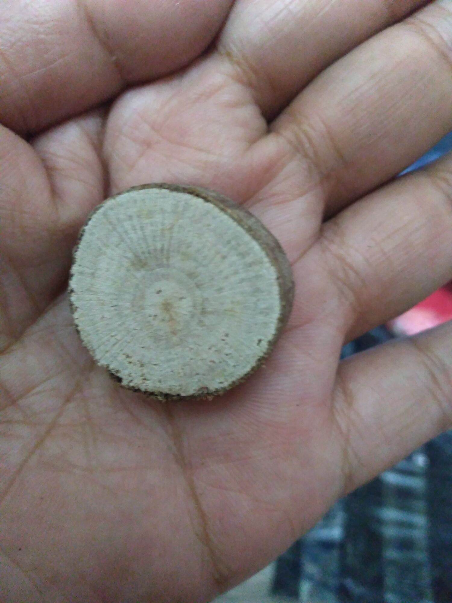 SINAG ARAW (PROTEKSYON) | Lazada PH