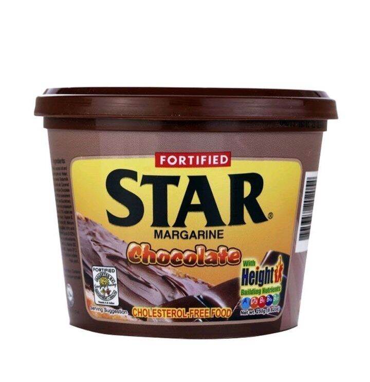 STAR MARGARINE CHOCOLATE FLAVOR 250g. | Lazada PH