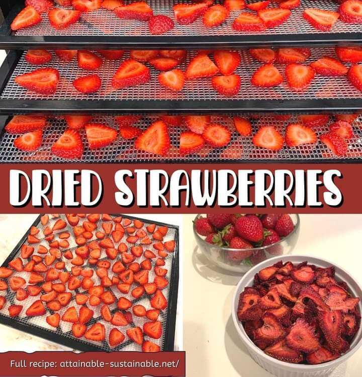 DRIED STRAWBERRIES FROM BAGUIO CITY 100 GRAMS | Lazada PH
