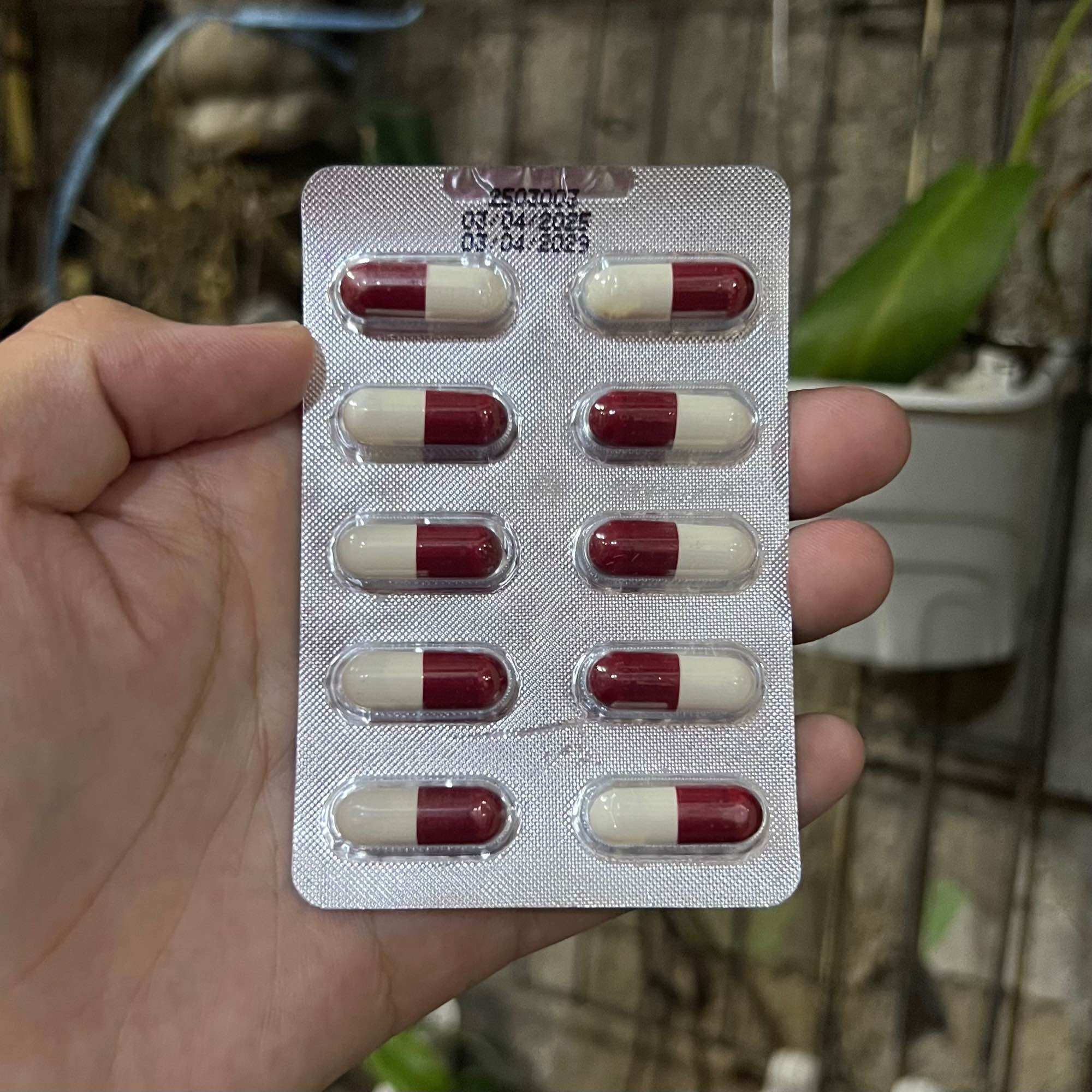Amoxicillin Antibacterial 500mg 1 Capsule for Pets Medicine | Lazada PH