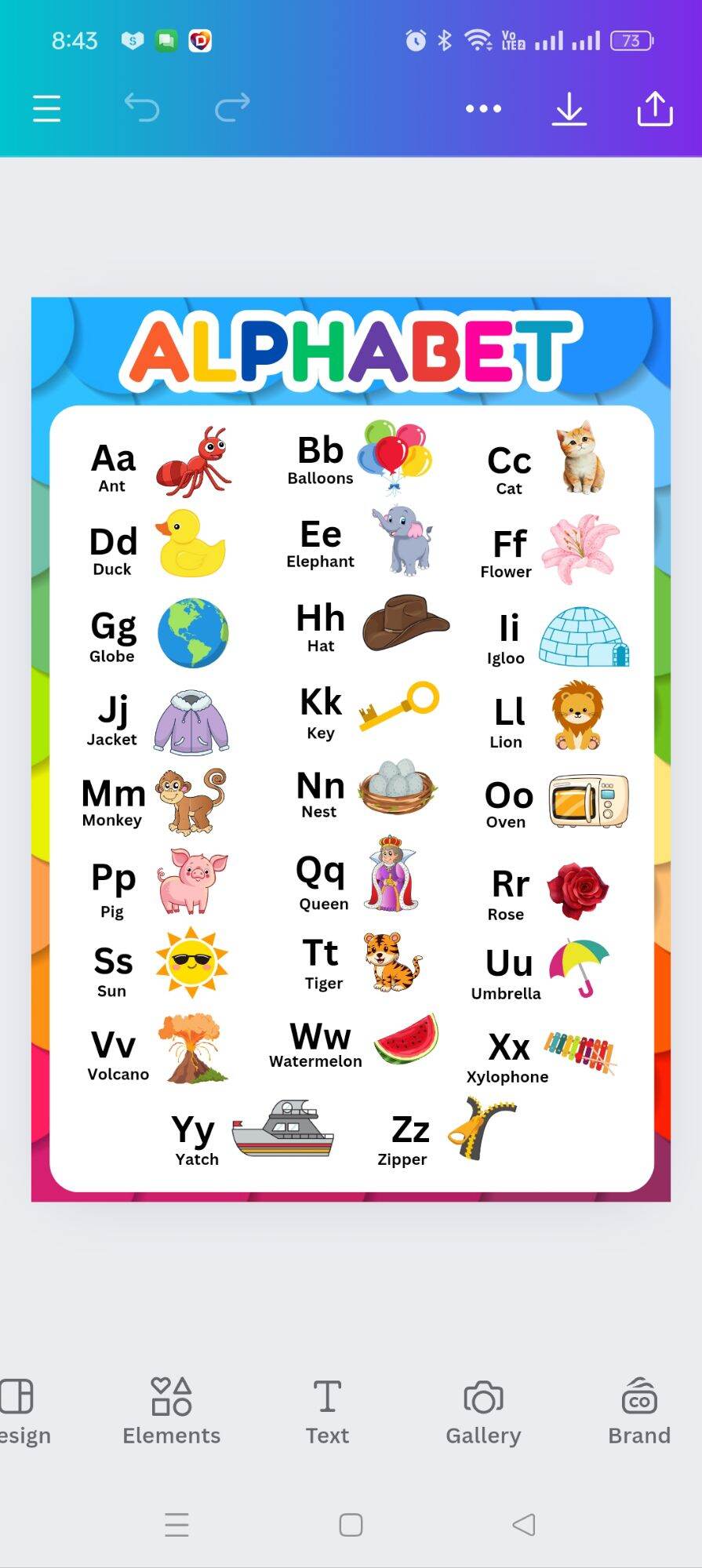 Educational Chart Laminated A4 Size | Lazada PH