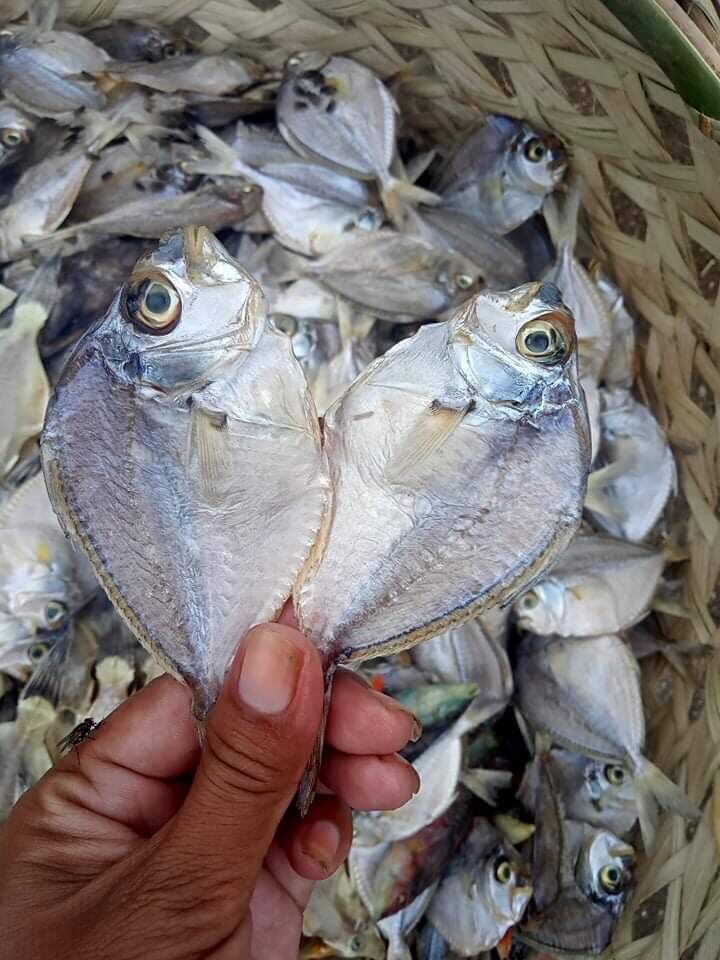 250g Sap sap Driedfish good size | Lazada PH