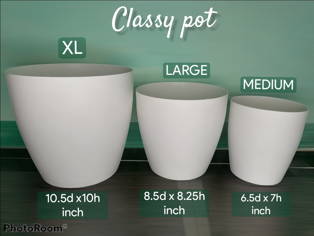 Yayamanin pots ( Classy pots) white | Lazada PH