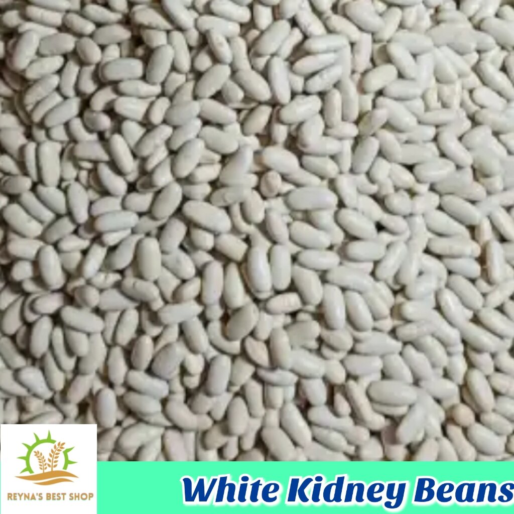 White Kidney Beans 500g-1kg | Lazada PH