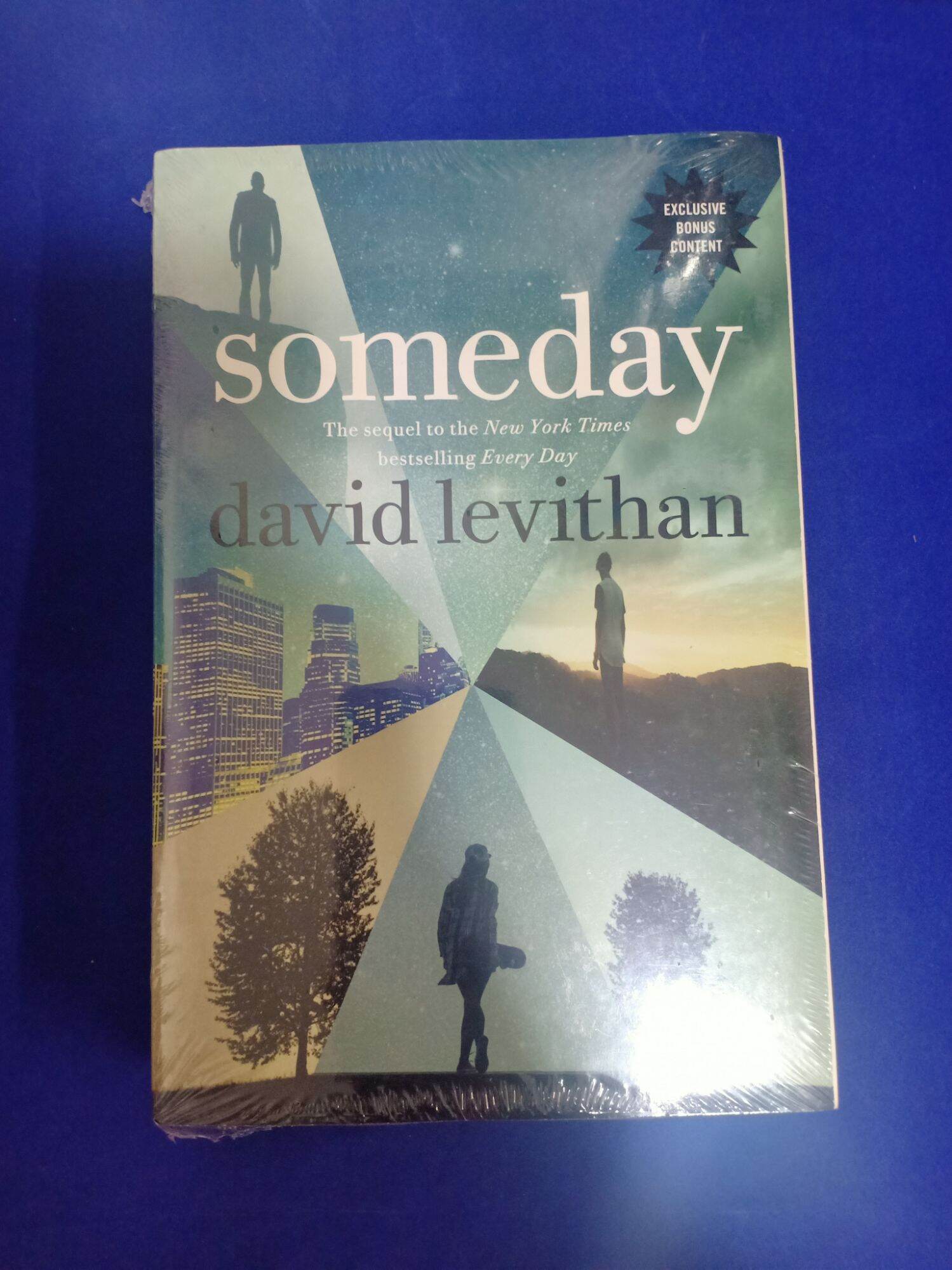 Someday by David Levithan | Lazada PH