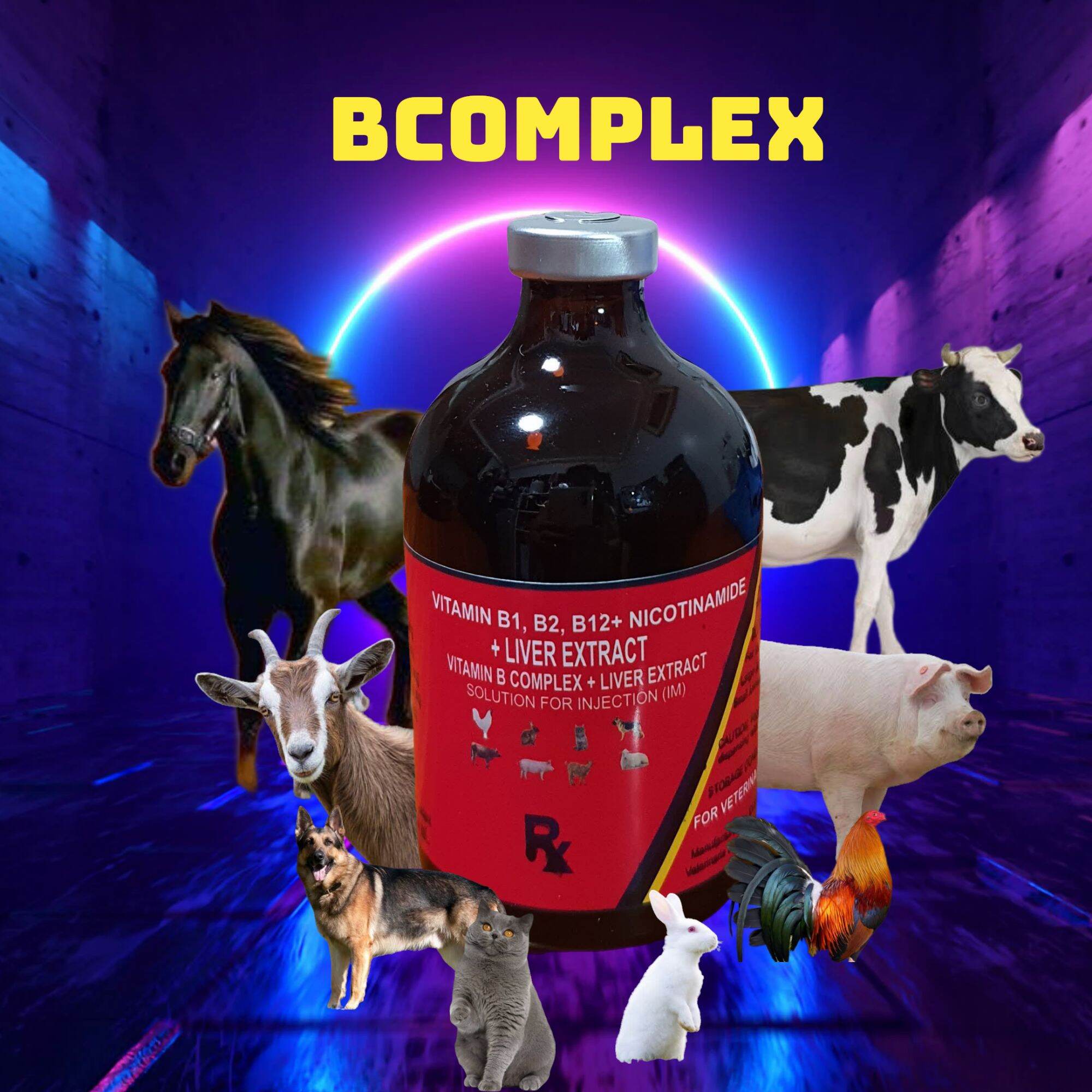 b complex liver extract vitamins | Lazada PH