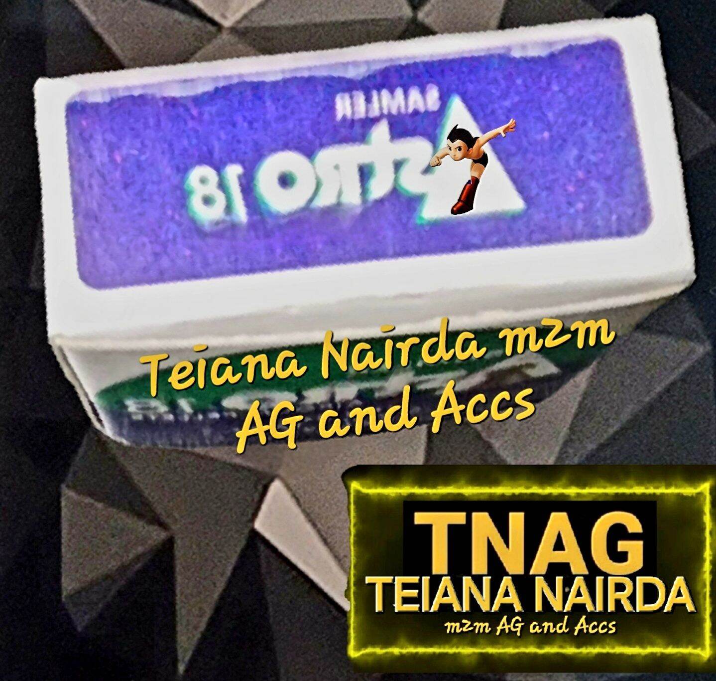 Teiana Nairda Astro Meteor Fish Tackes | Lazada PH
