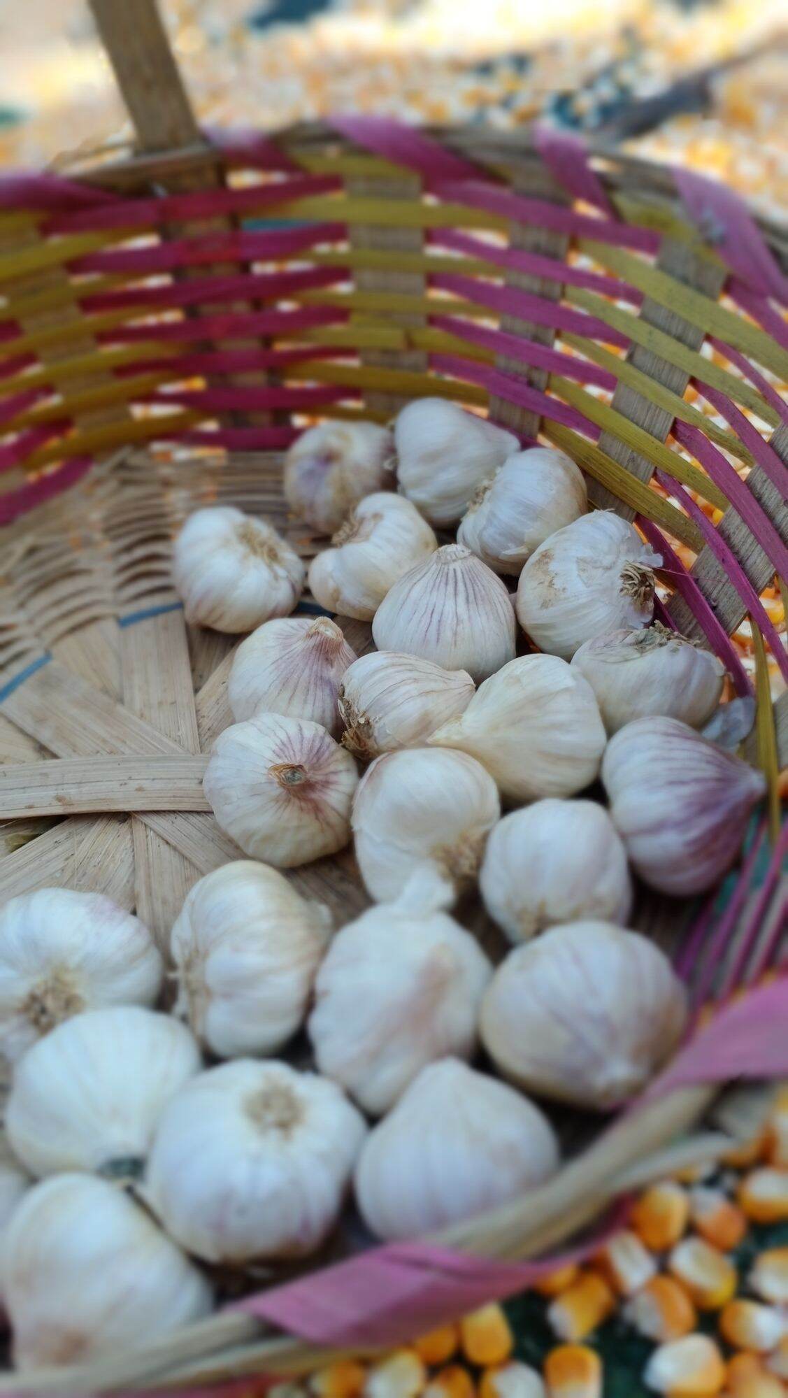 ilocos bawang (native garlic) 250 grams (1/4 kilo) | Lazada PH