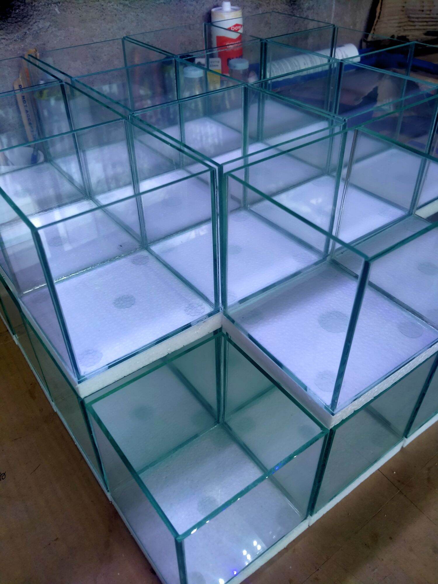 Minimalist Aquarium 4x4x4 Cube tank for Betta and small fishes | Lazada PH