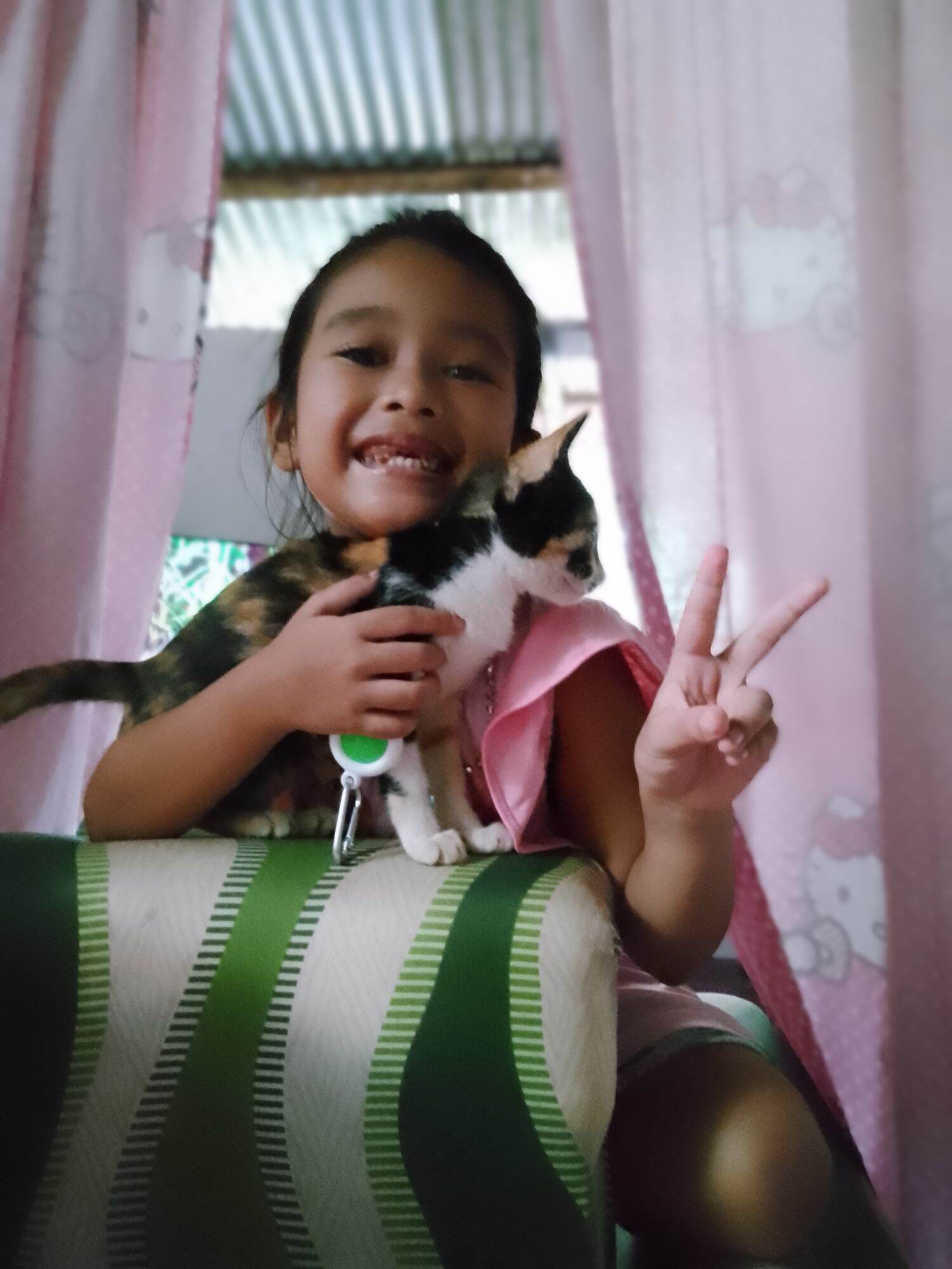 Shop online with Bicol Plants&Orchids now! Visit Bicol Plants&Orchids ...