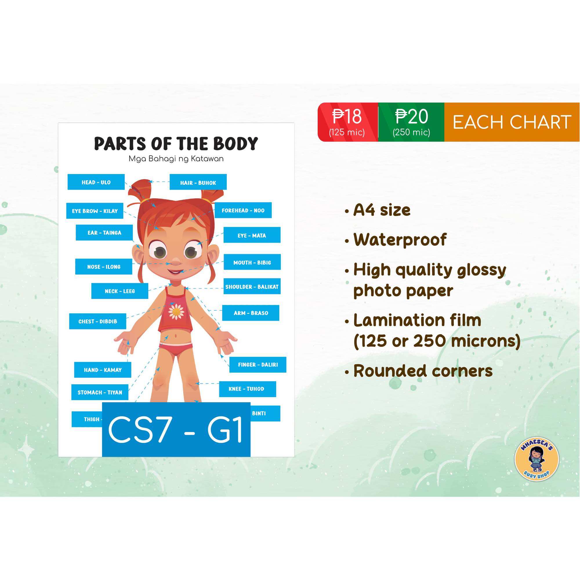 Laminated Educational Chart for Kids Set 7 - Parts of The Body, Stages ...