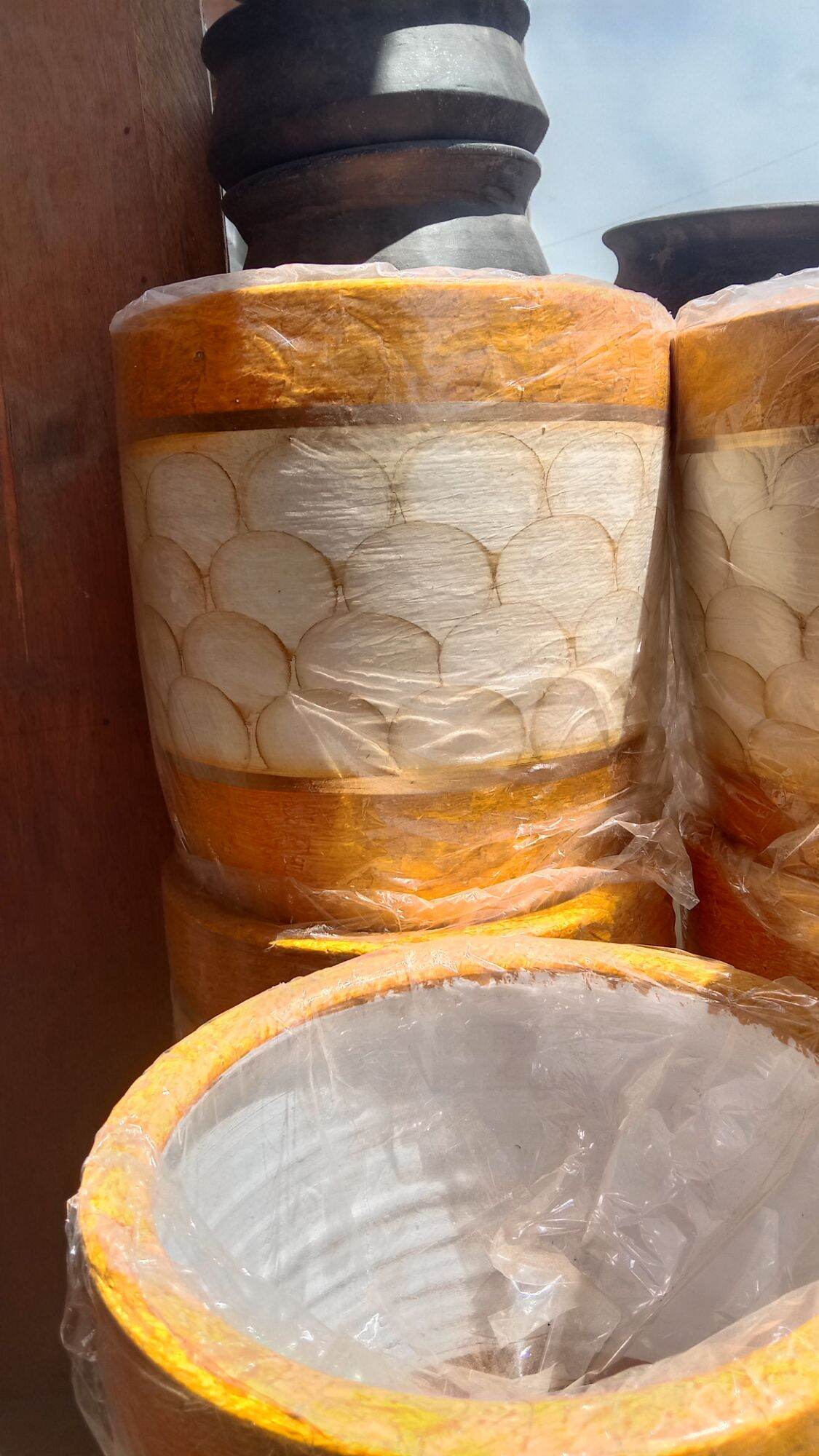 BIG CORAL DESIGN POTS | Lazada PH