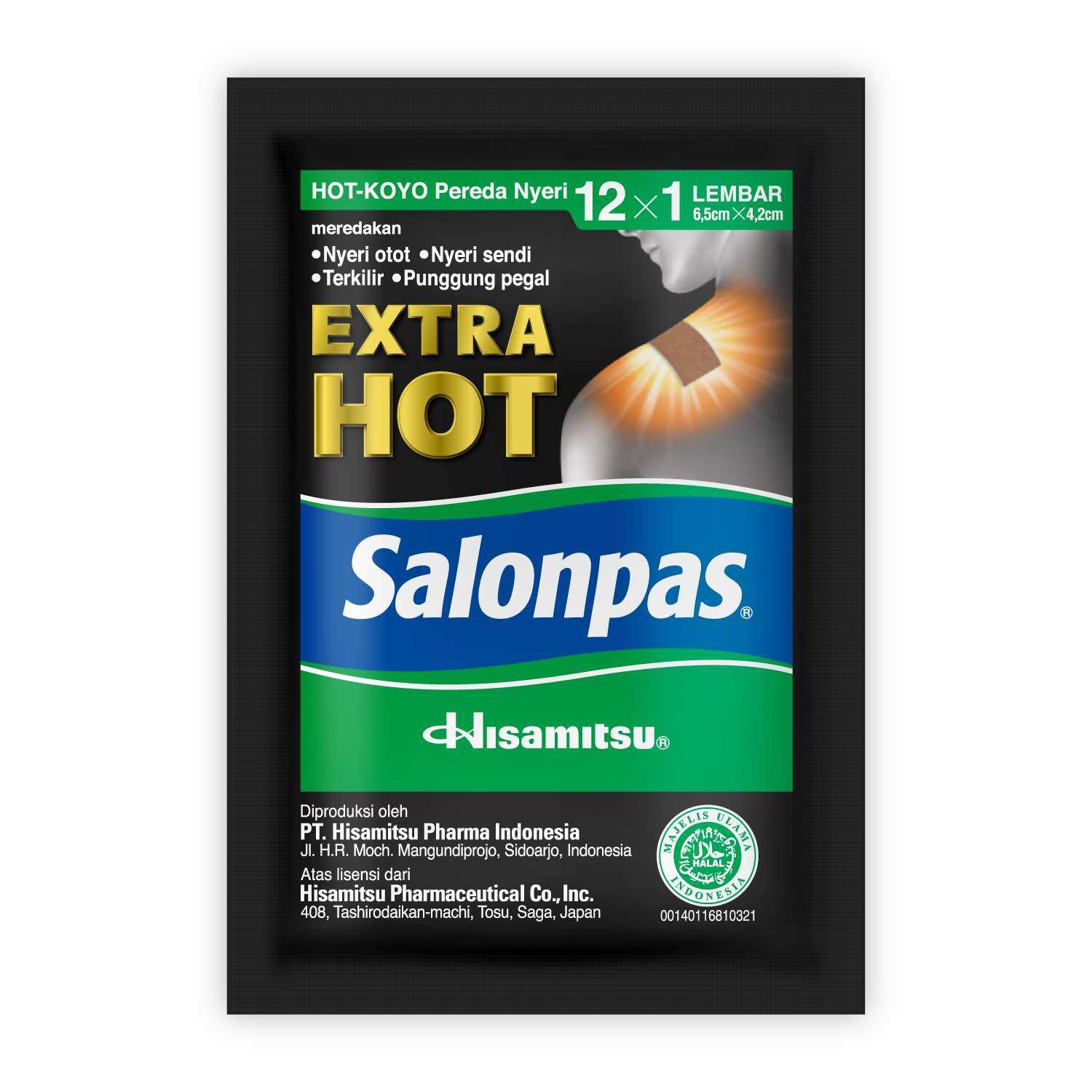 SALONPAS Hisamitsu PLASTER 1sachet 12plaster Inside | Lazada PH