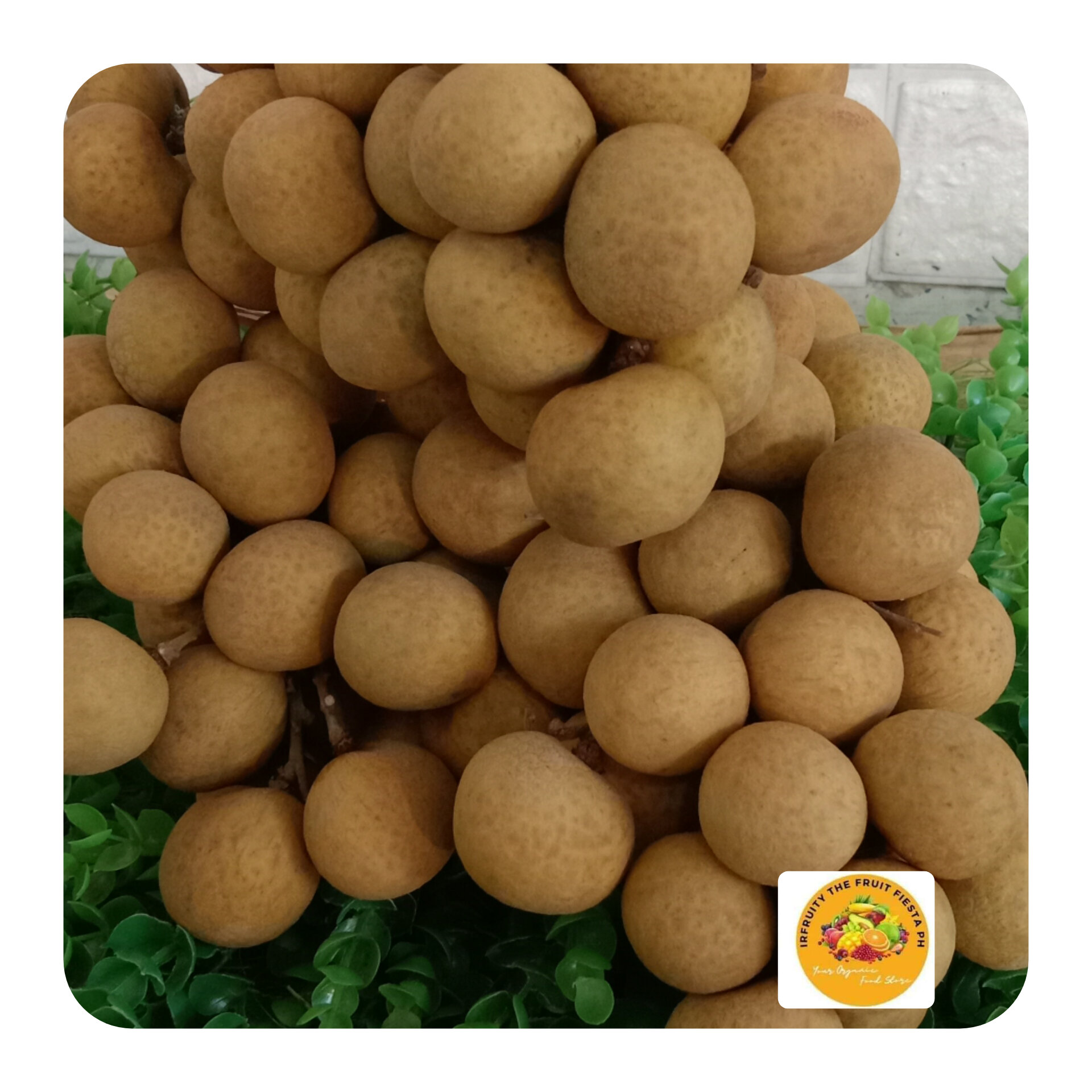 Fresh Longan fruits ₱380 for halfkilo 500g.(Sweet and Juicy) DELIVER ...