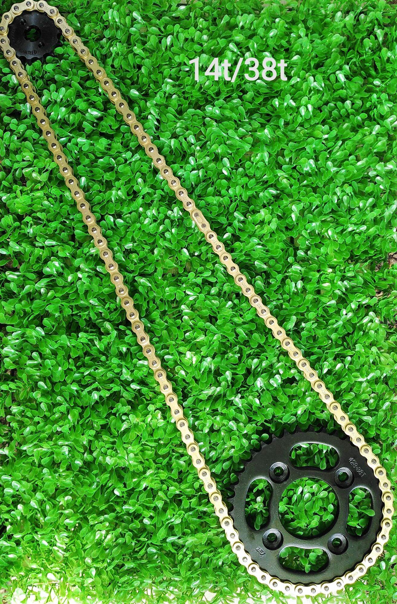 CSL sprocket and chain