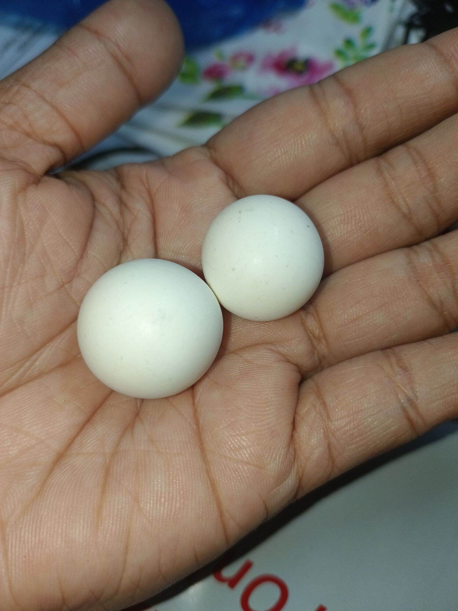 batong Omo pampaswerte at proteksyon | Lazada PH