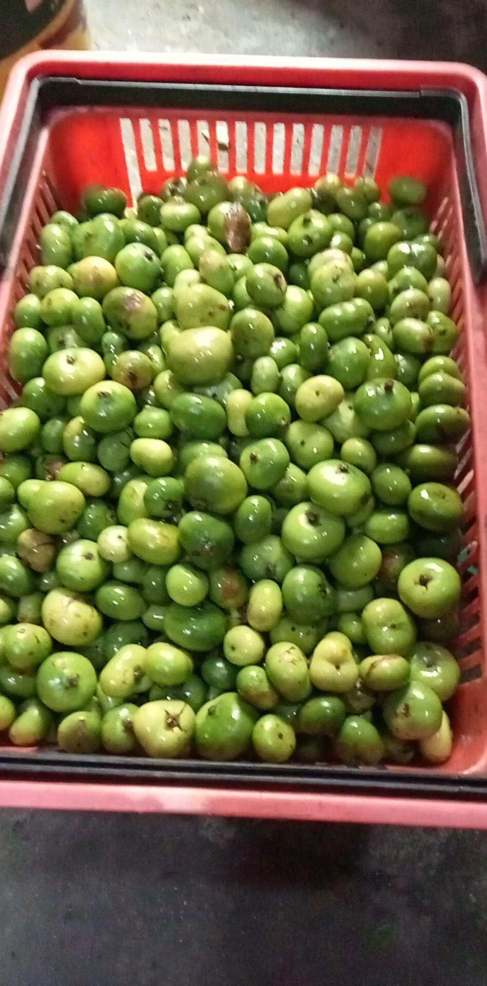 BATWAN FRUIT | Lazada PH