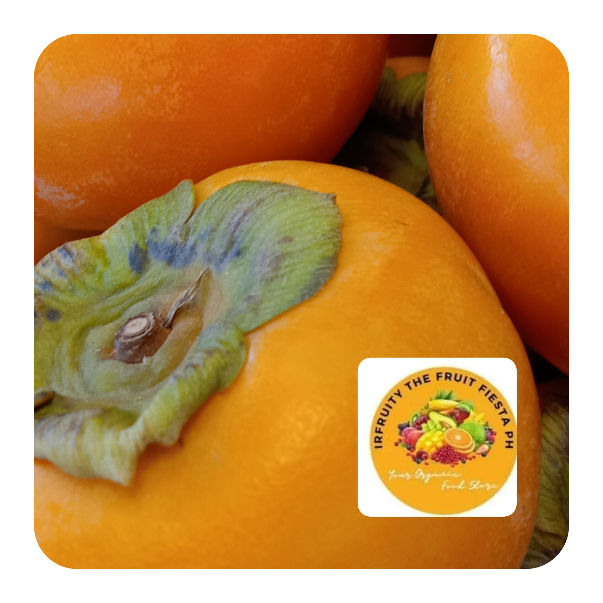 Persimmon 5pcs. Fresh & Sweet New Zealand Persimmon for only ₱1,450 ...
